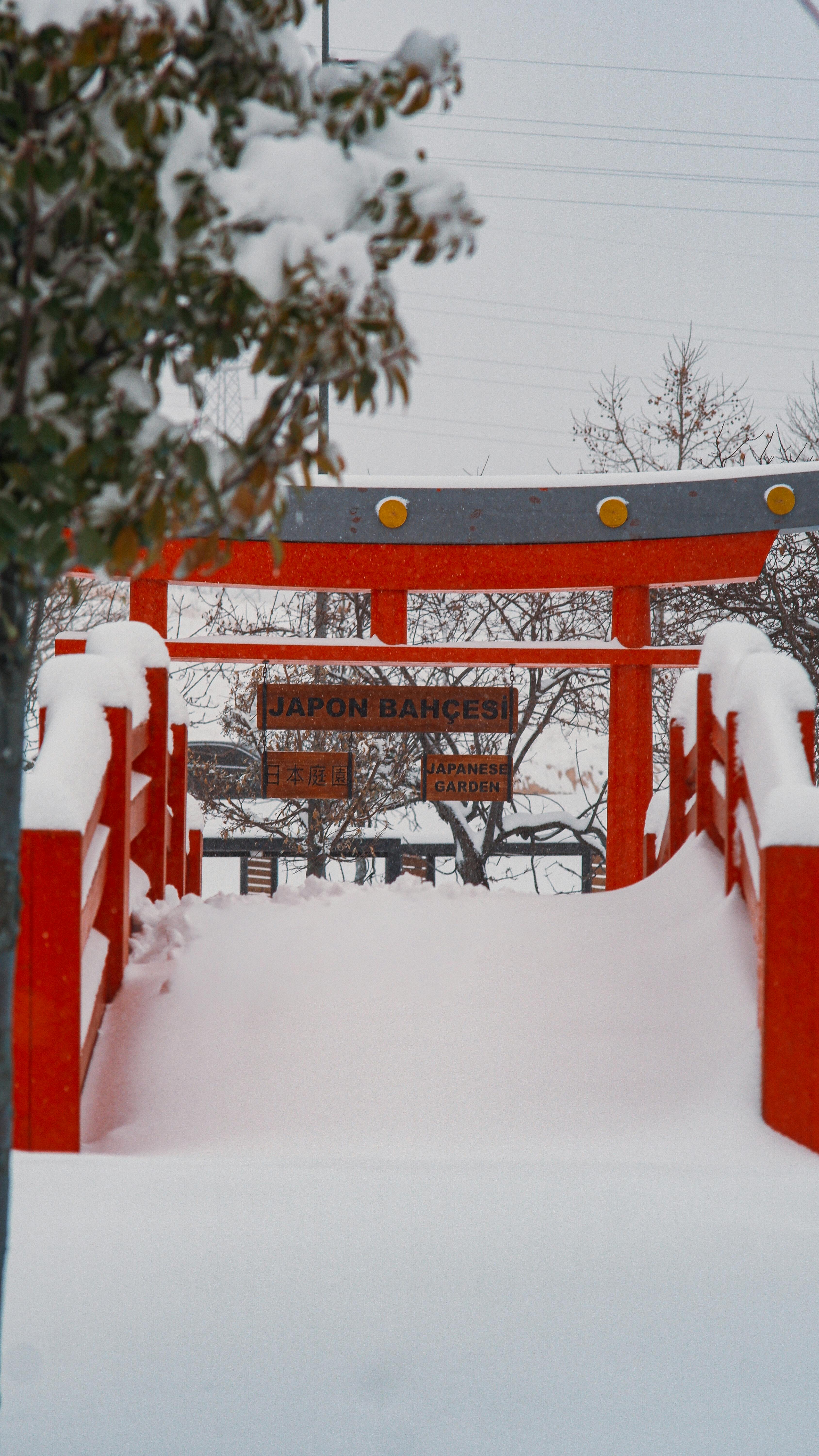 Bokep+Japan+Pelajar+Pulen Photos, Download The BEST Free Bokep+Japan+Pelajar+Pulen Stock Photos ...