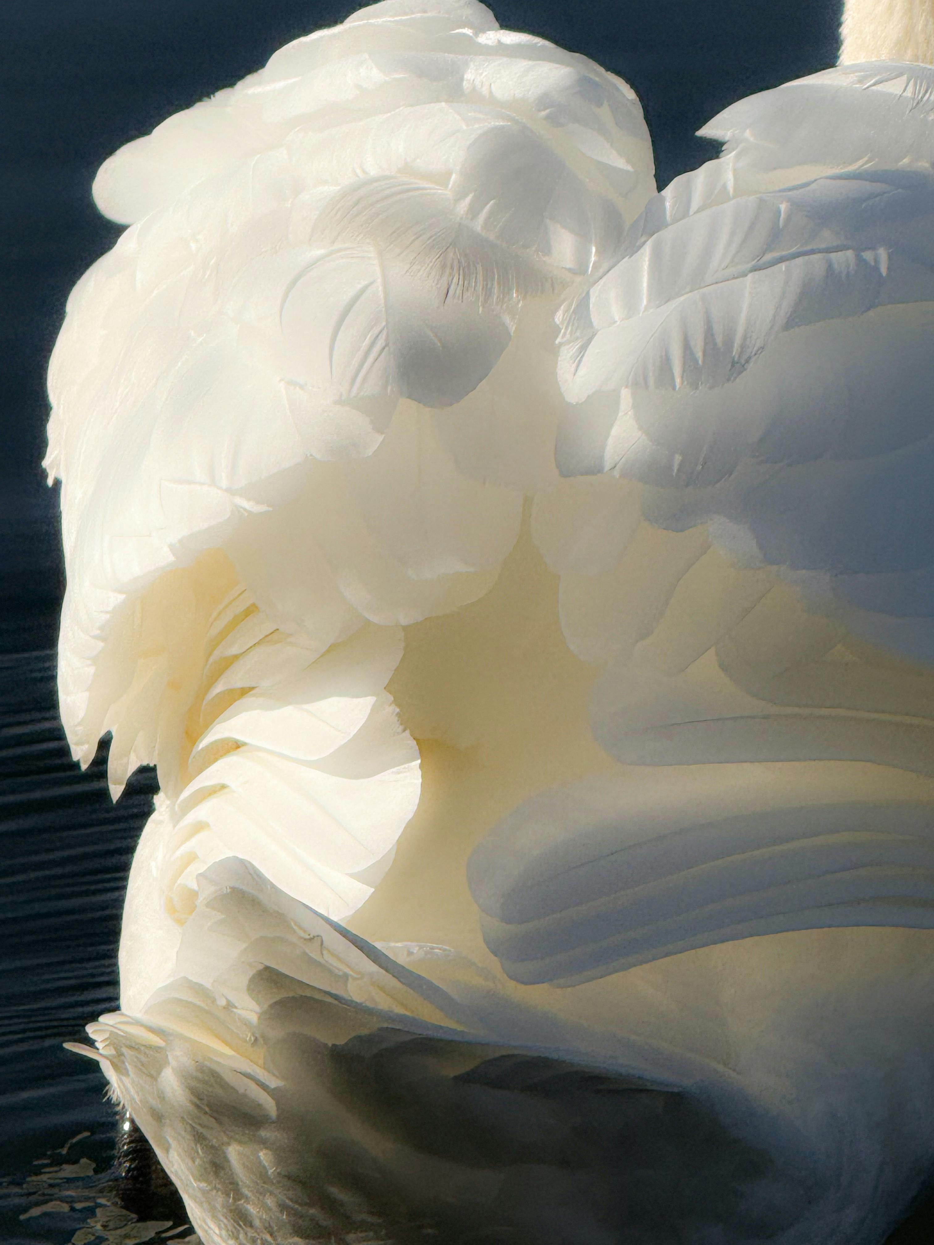 1.000.000+ melhores imagens de Video+bokep+ceyyy+tiktokers · Download 100% grátis · Fotos ...