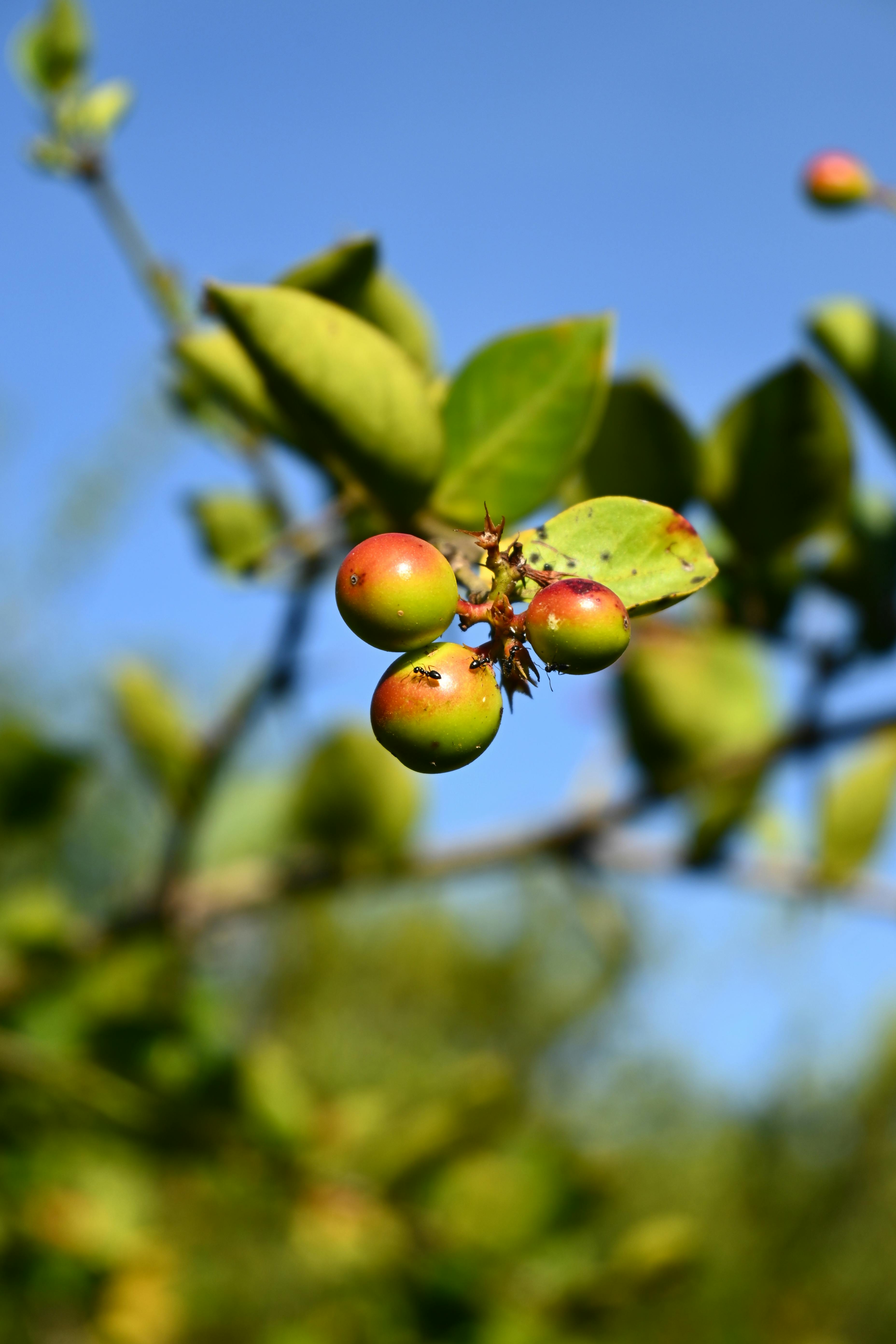 Gyaru Background Photos, Download The BEST Free Gyaru Background Stock ...