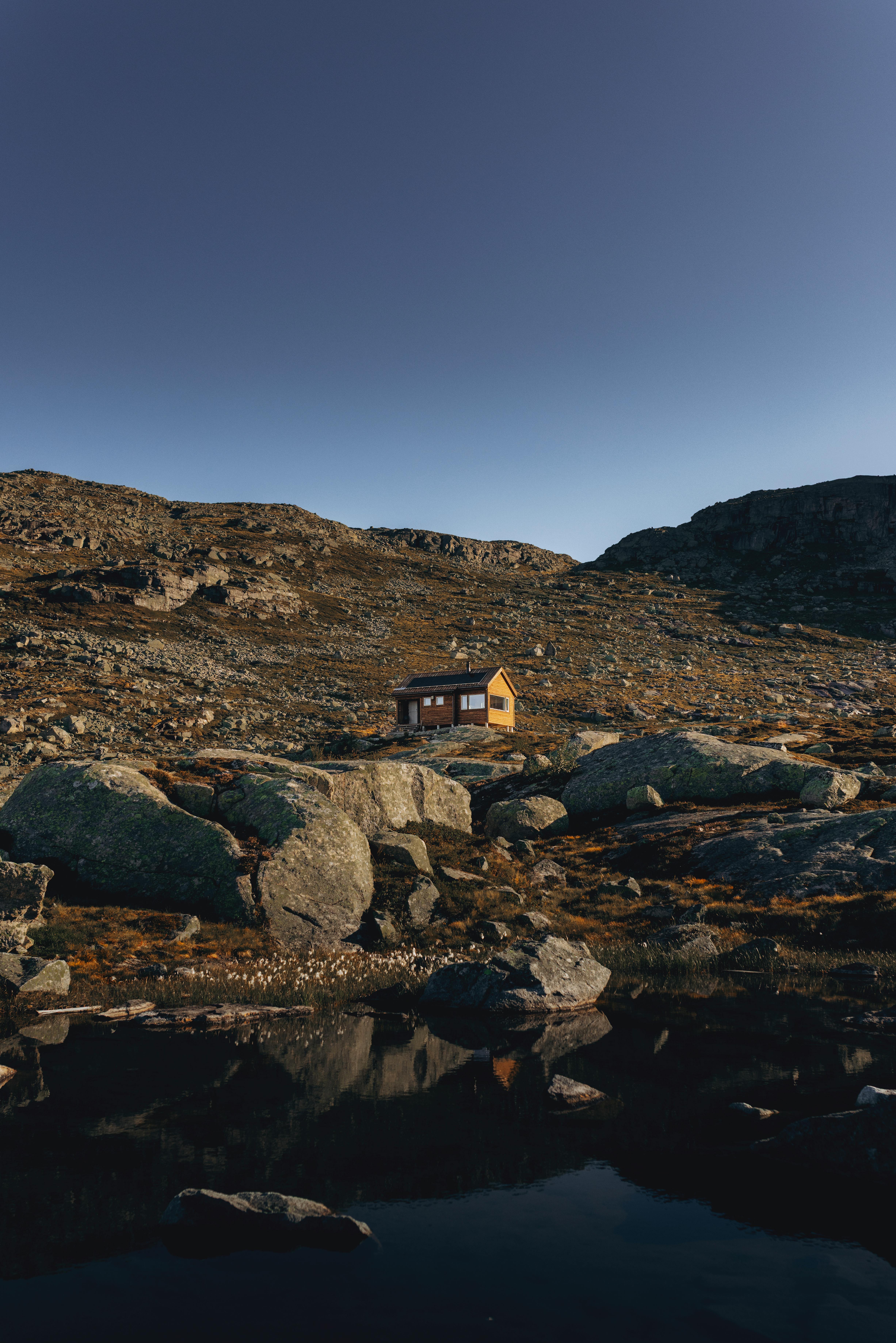 Shrek+Feet Photos, Download The BEST Free Shrek+Feet Stock Photos & HD ...