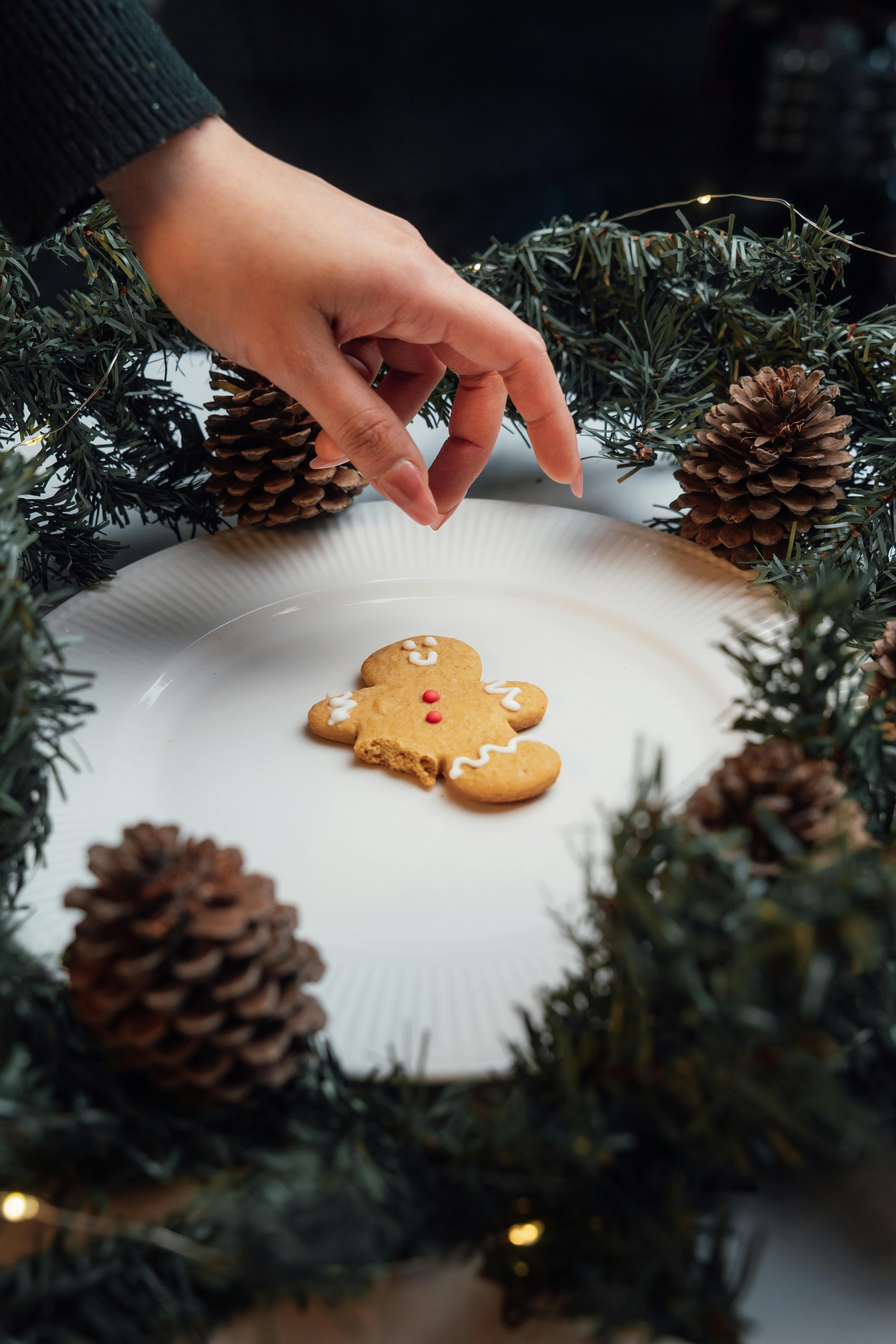 Adonis+Men Photos, Download The BEST Free Adonis+Men Stock Photos & HD ...