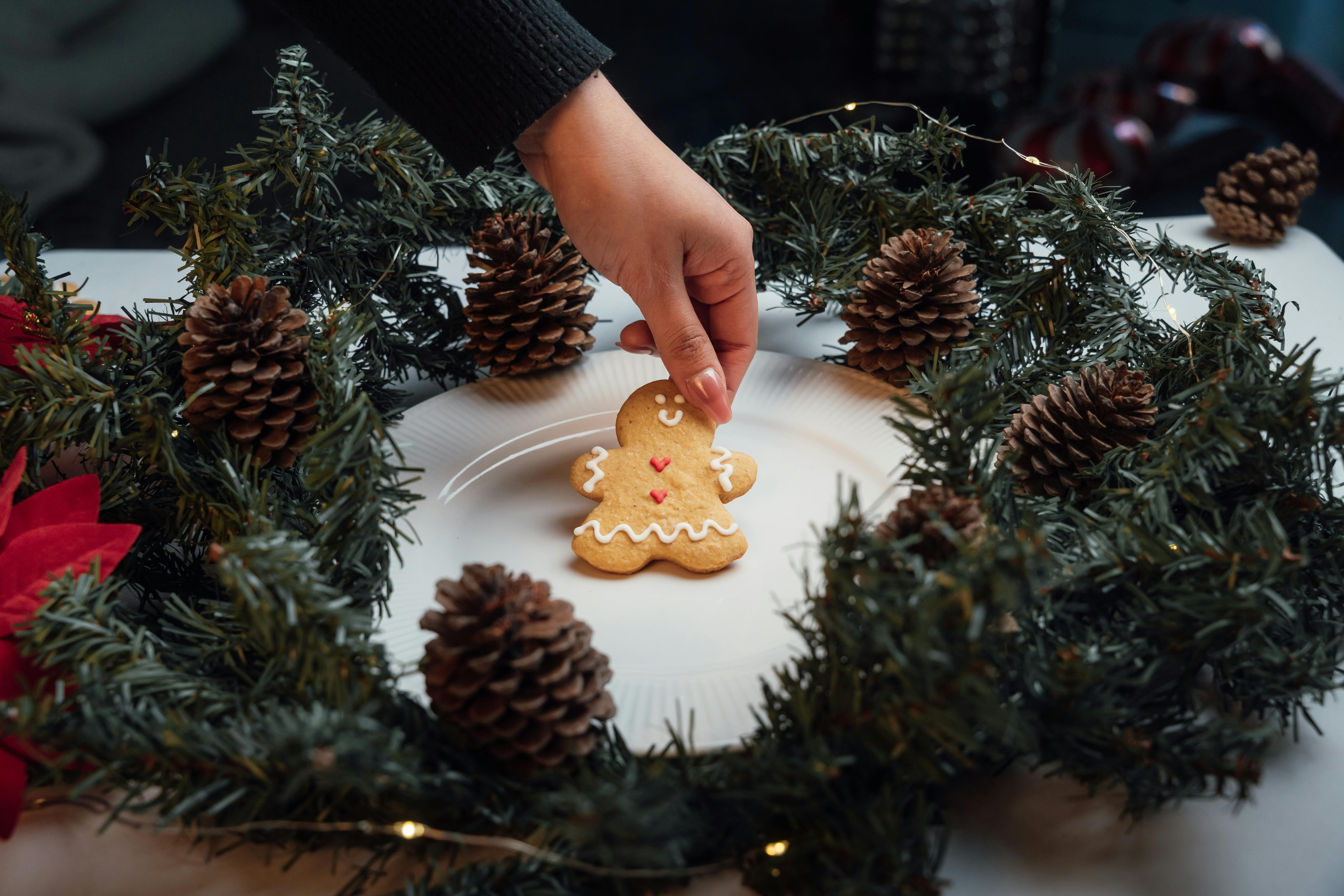 Adonis+Men Photos, Download The BEST Free Adonis+Men Stock Photos & HD ...