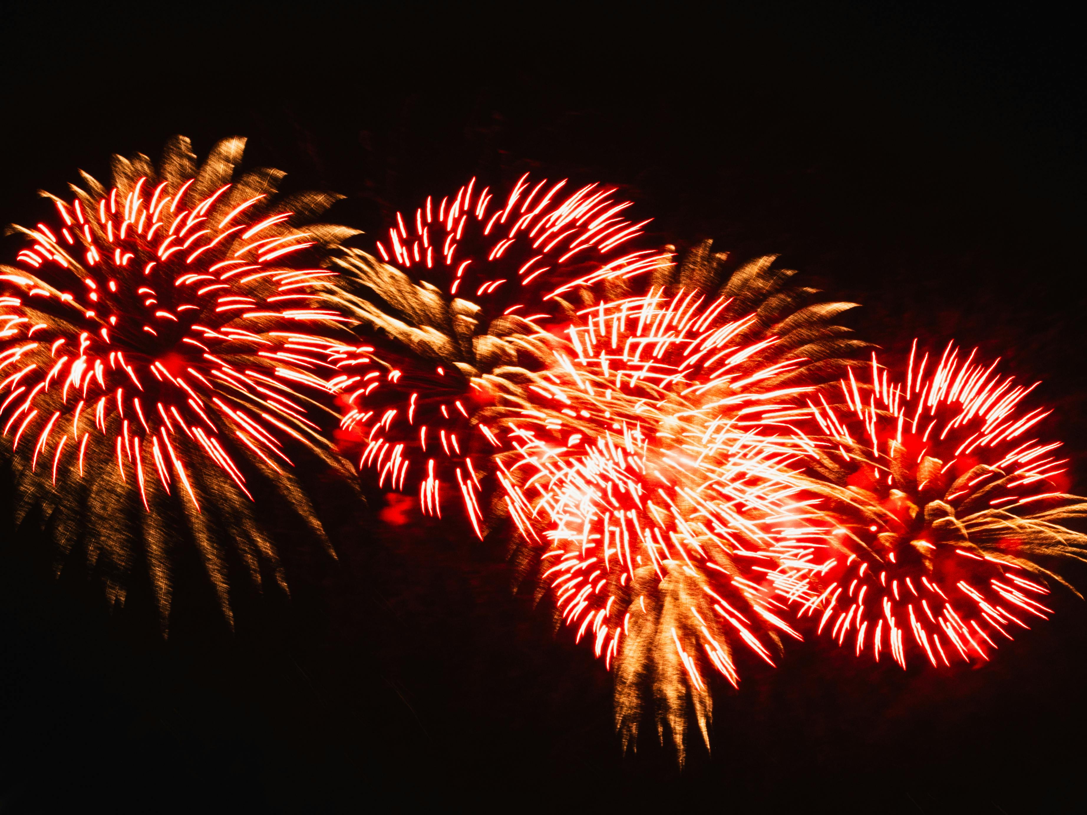 Spectacular Night Fireworks Display · Free Stock Photo