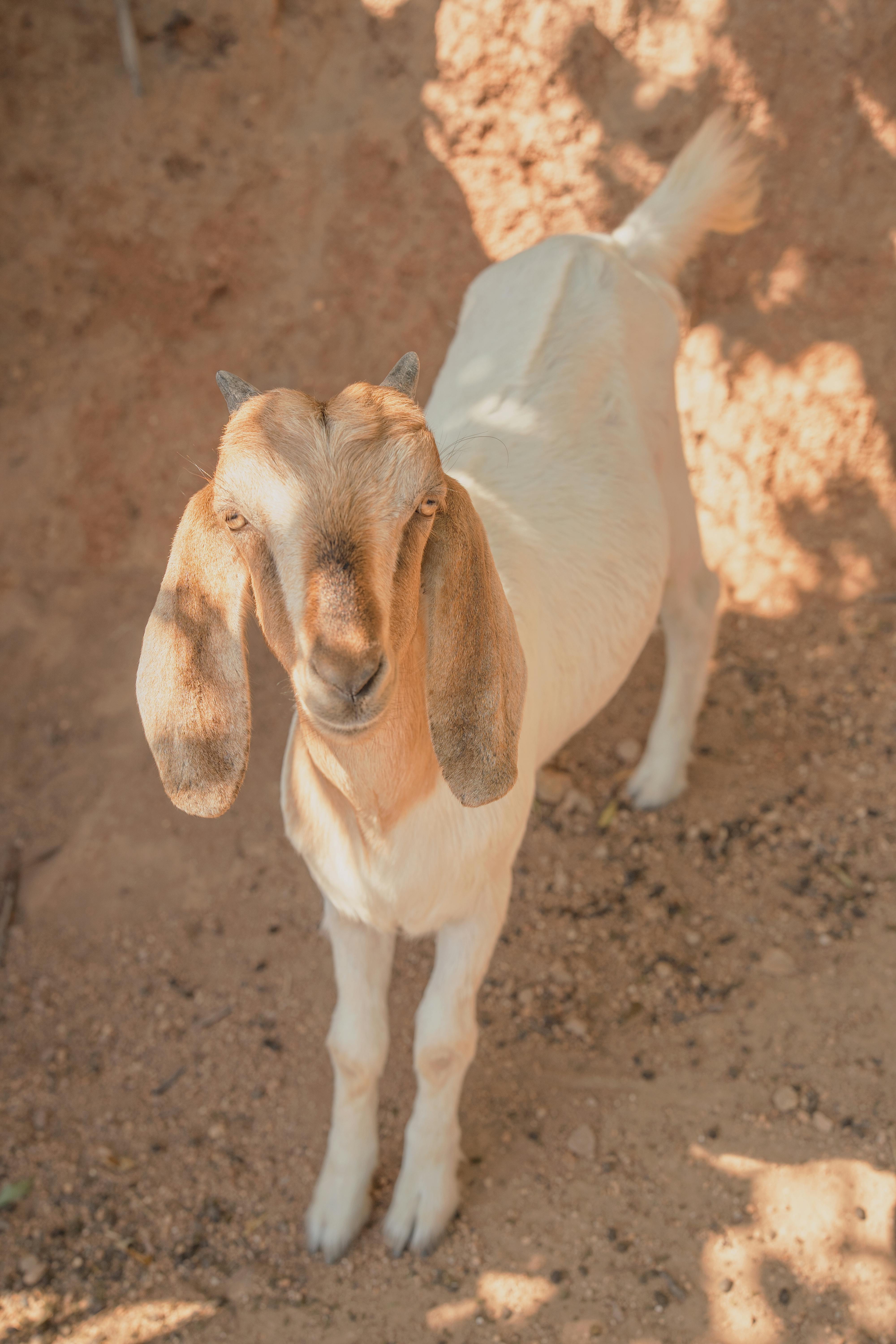 Ultra+Mobile+Photo Photos, Download The BEST Free Ultra+Mobile+Photo ...