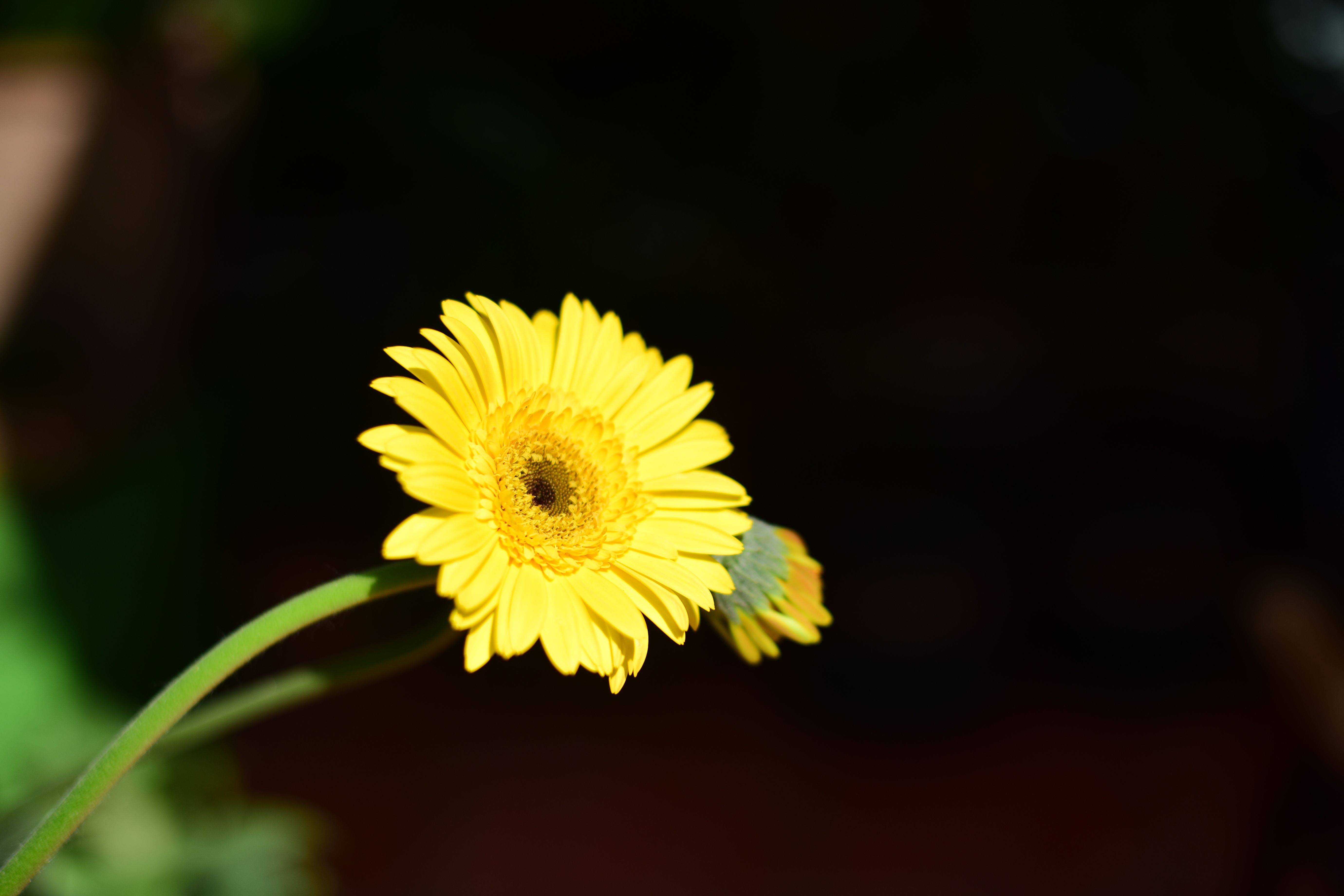 Background Image Photos, Download The BEST Free Background Image Stock ...