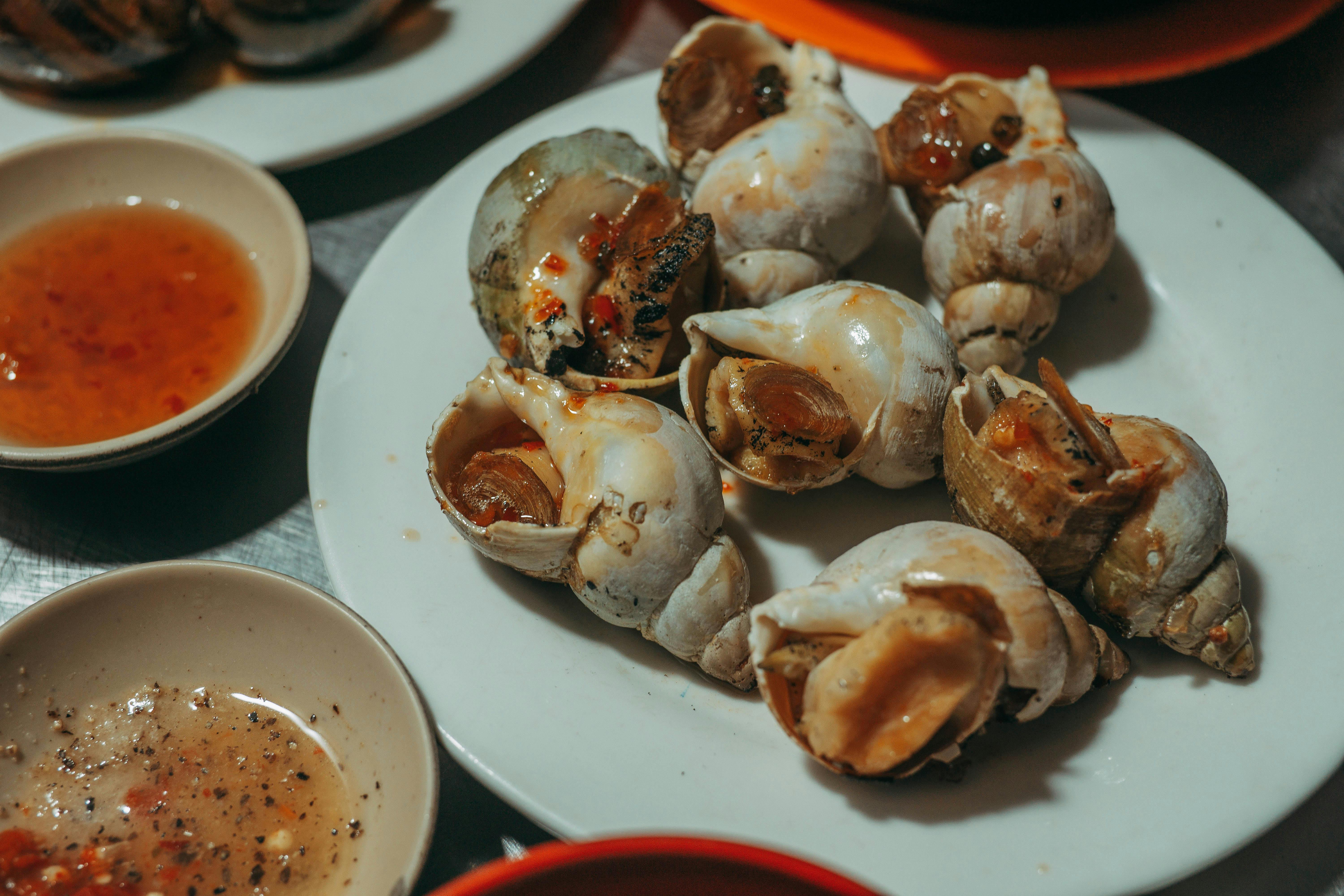 Close-up of Cooked Sea Snails with Dipping Sauce · Free Stock Photo