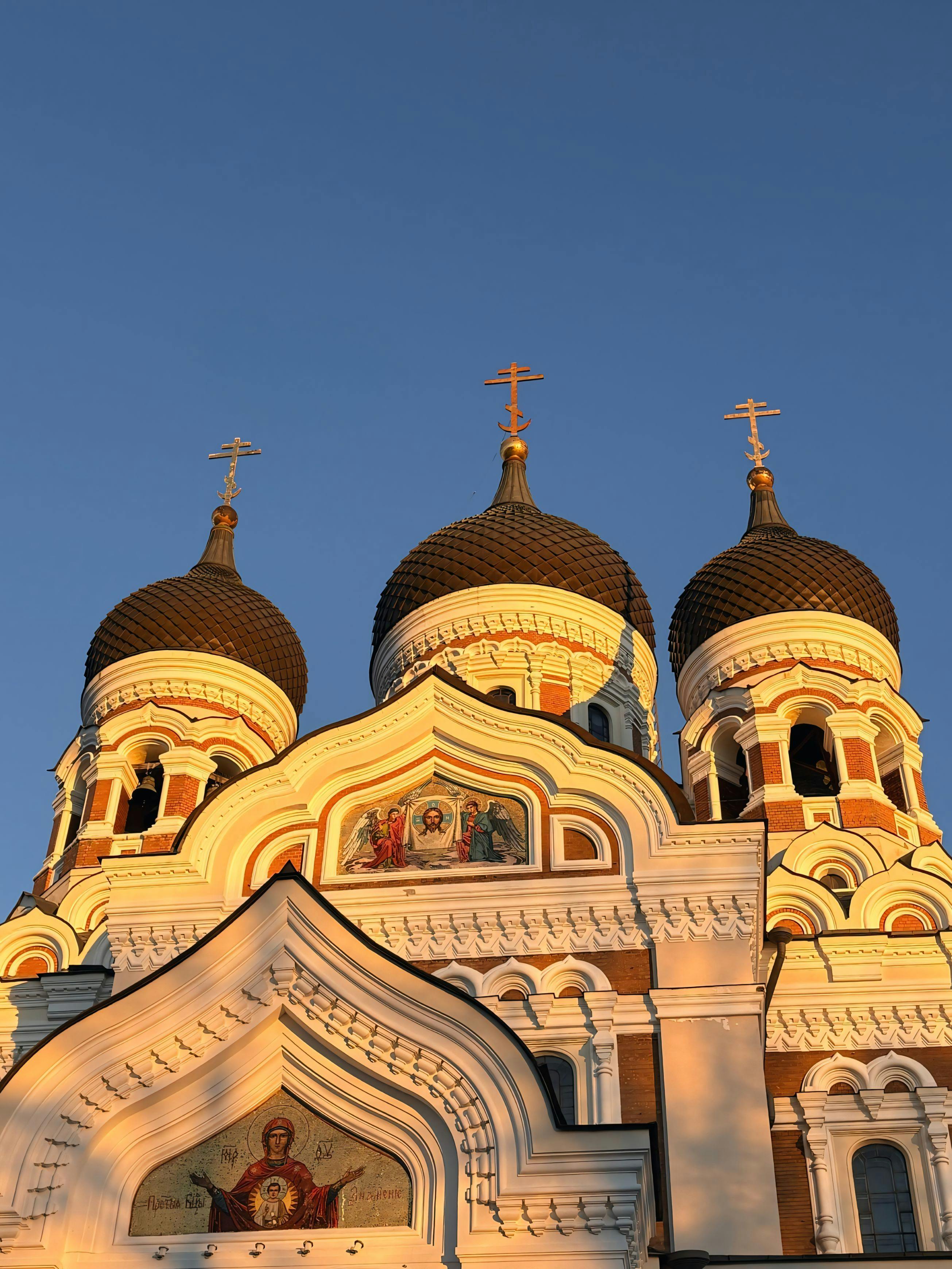 Sasha+Alexander+Bikini Photos, Download The BEST Free Sasha+Alexander+Bikini Stock Photos & HD ...