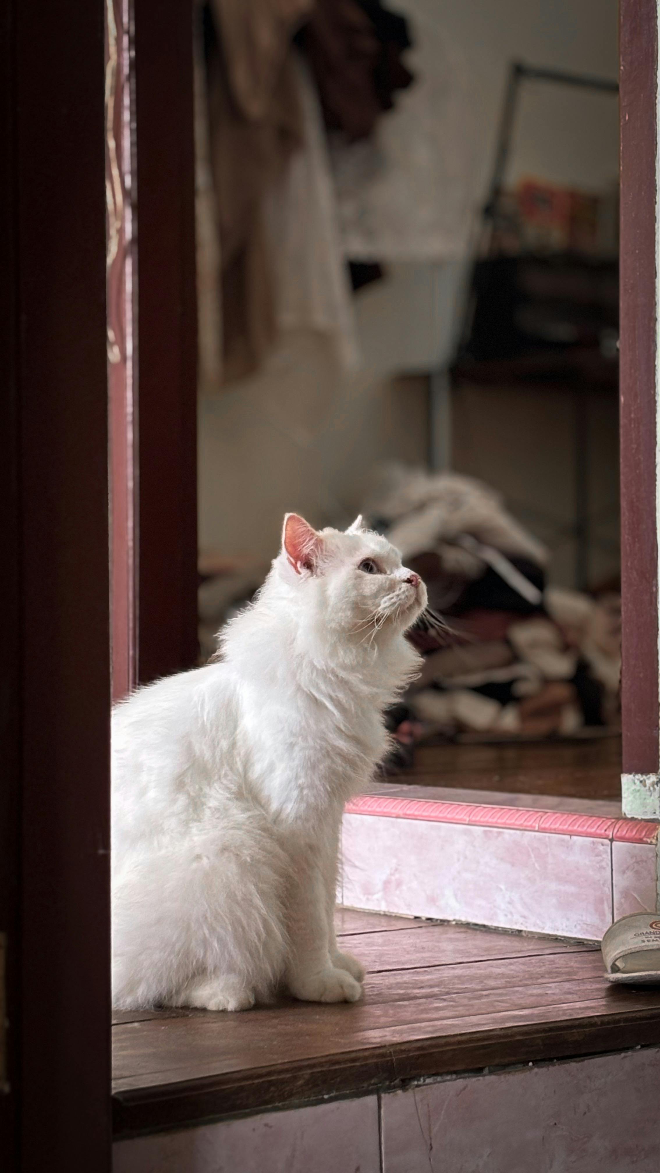 Cute+Imx+Girls Photos, Download The BEST Free Cute+Imx+Girls Stock ...