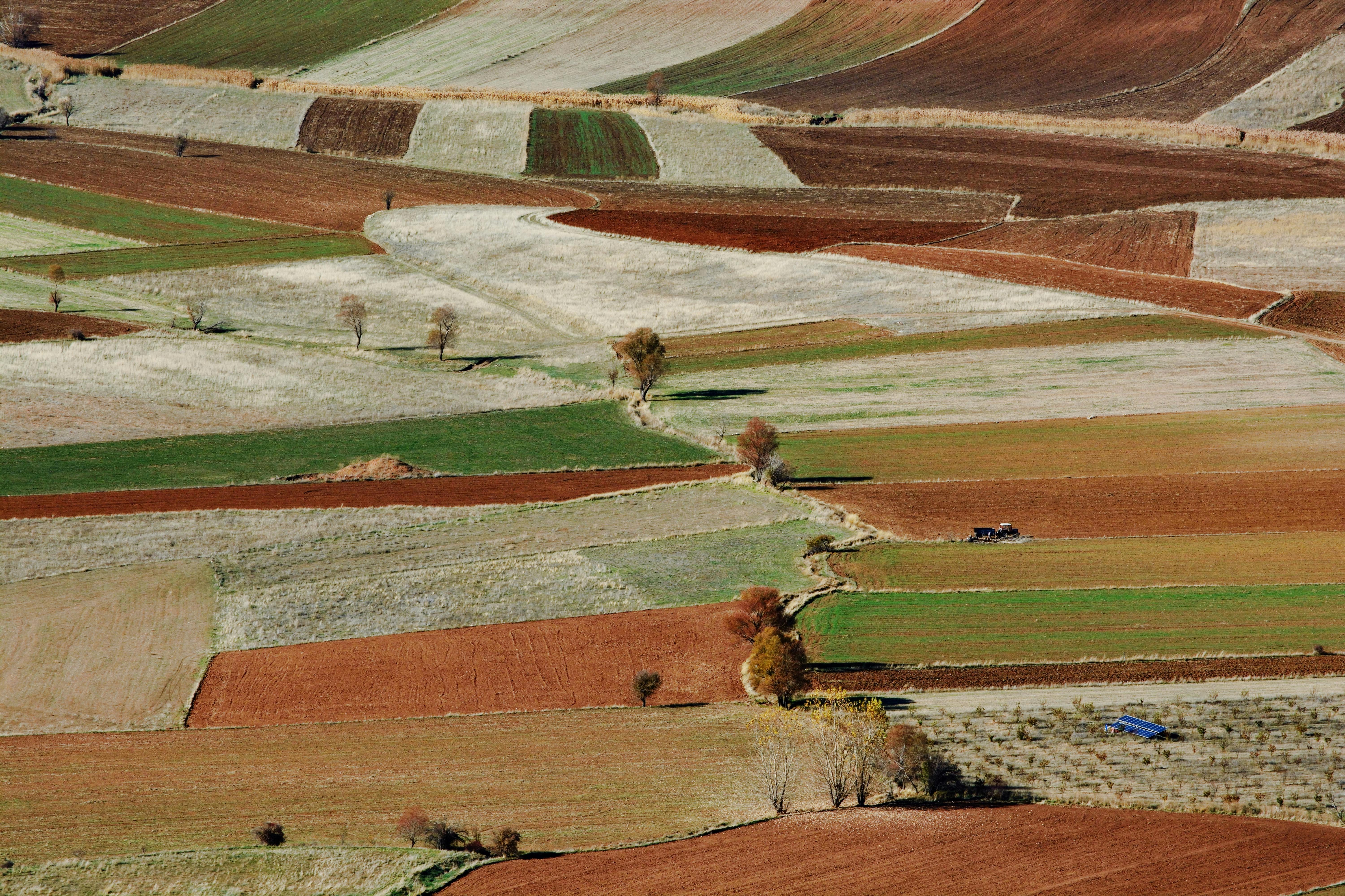 Bokep+Asia+Tante Photos, Download The BEST Free Bokep+Asia+Tante Stock Photos & HD Images