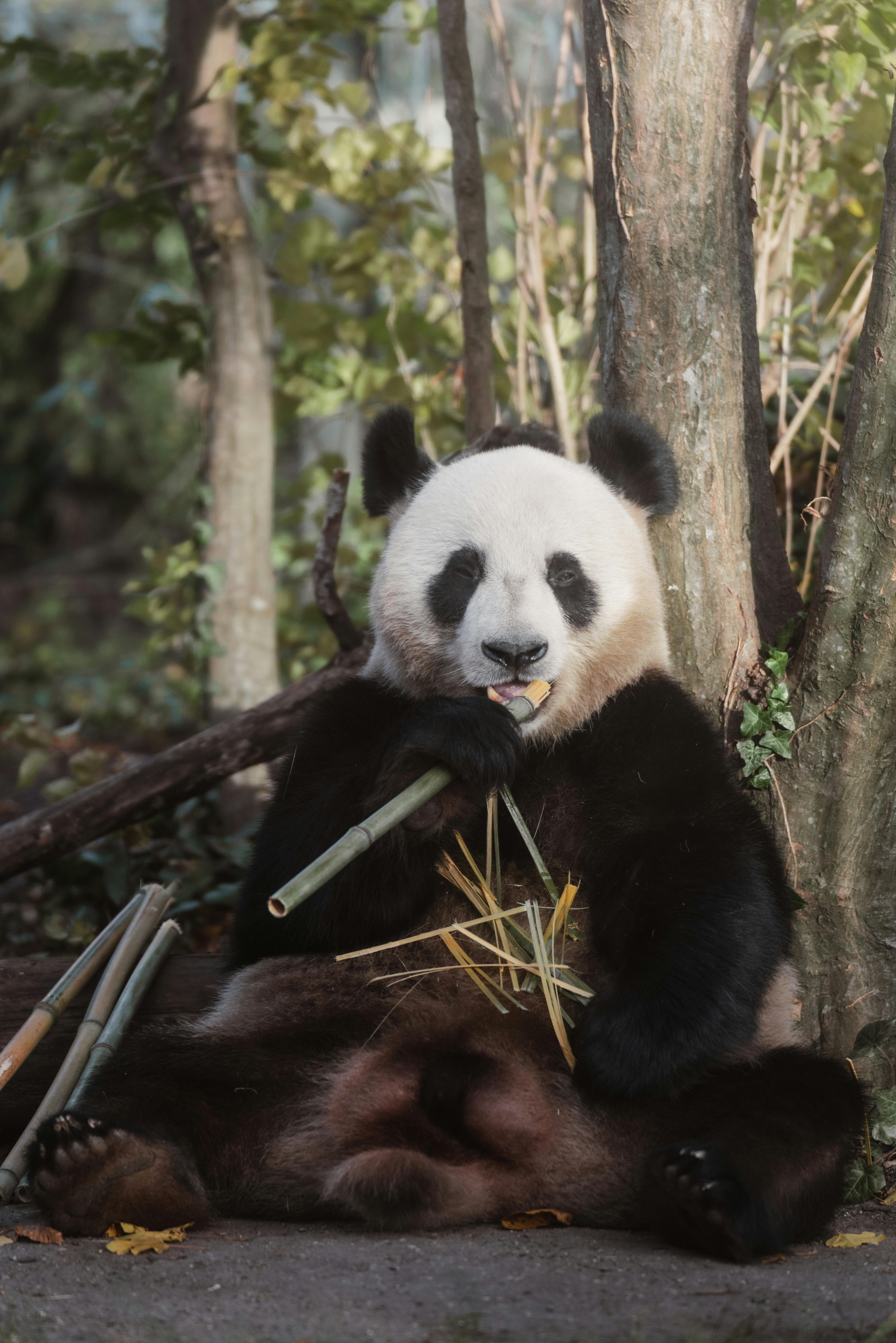 Quran Verses 4k Wallpaper Photos, Download The BEST Free Quran Verses ...