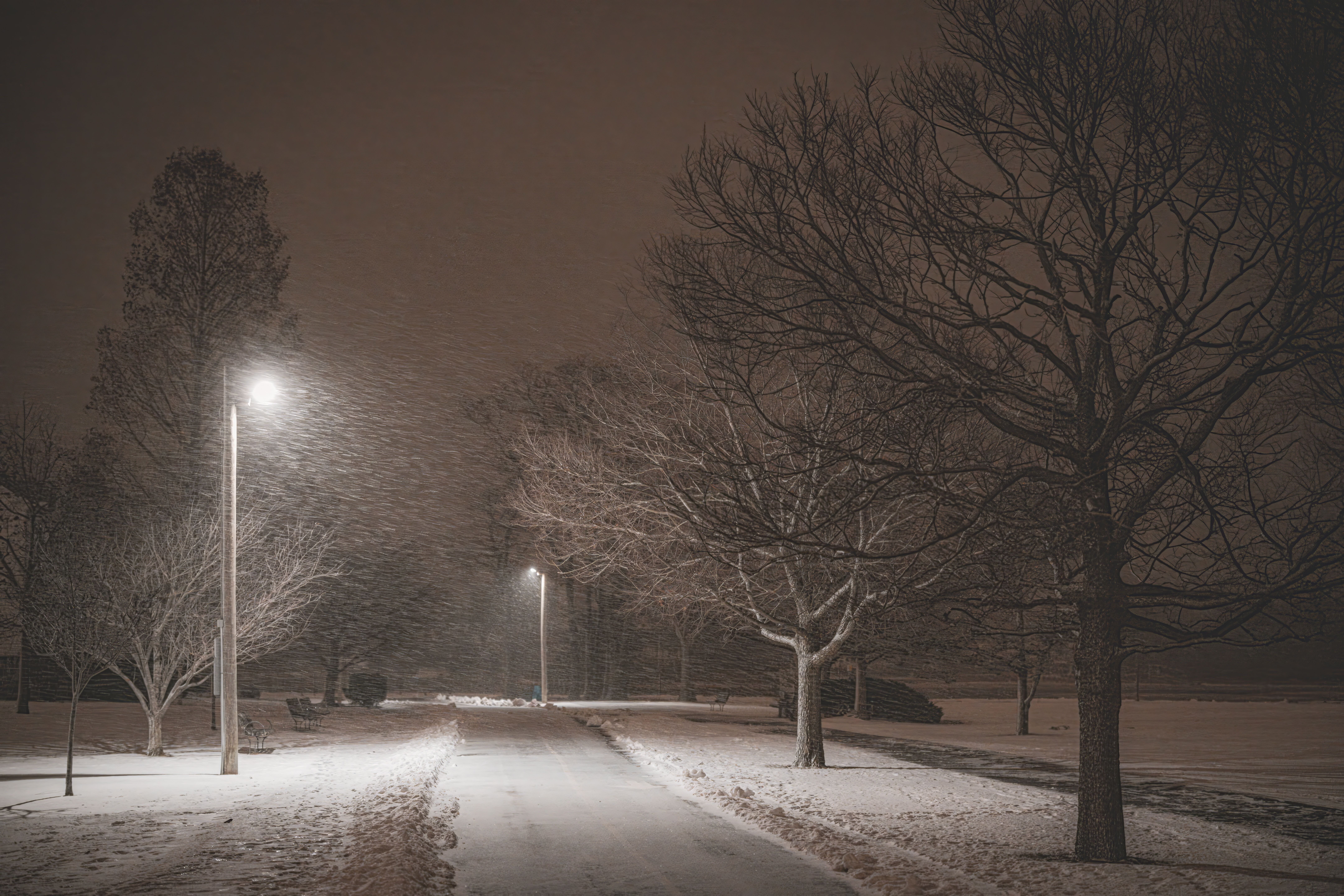 Snow-Covered Path in Wintery Stamford Park at Twilight · Free Stock Photo