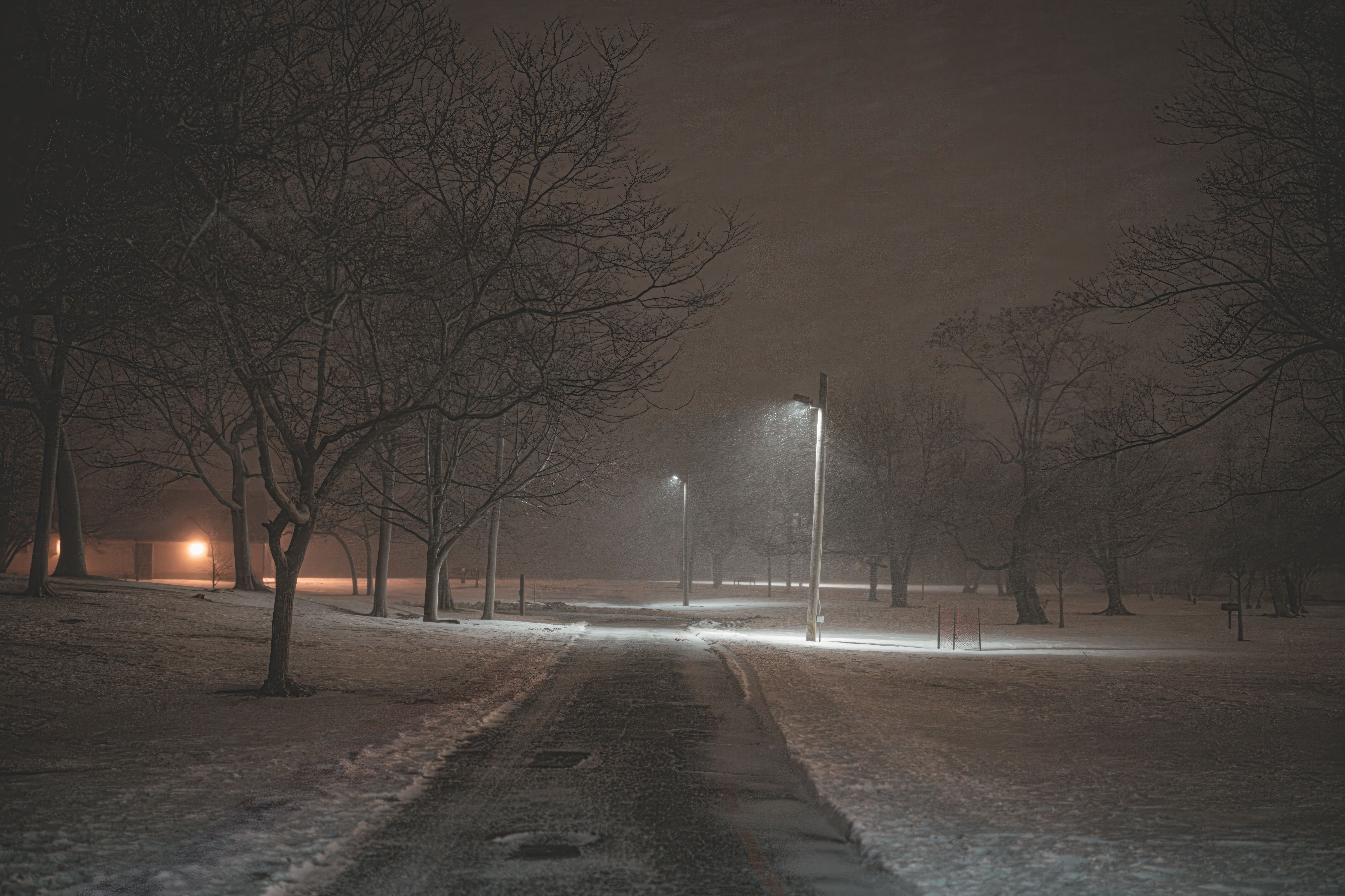 Snowy Winter Night Scene in Stamford Park · Free Stock Photo