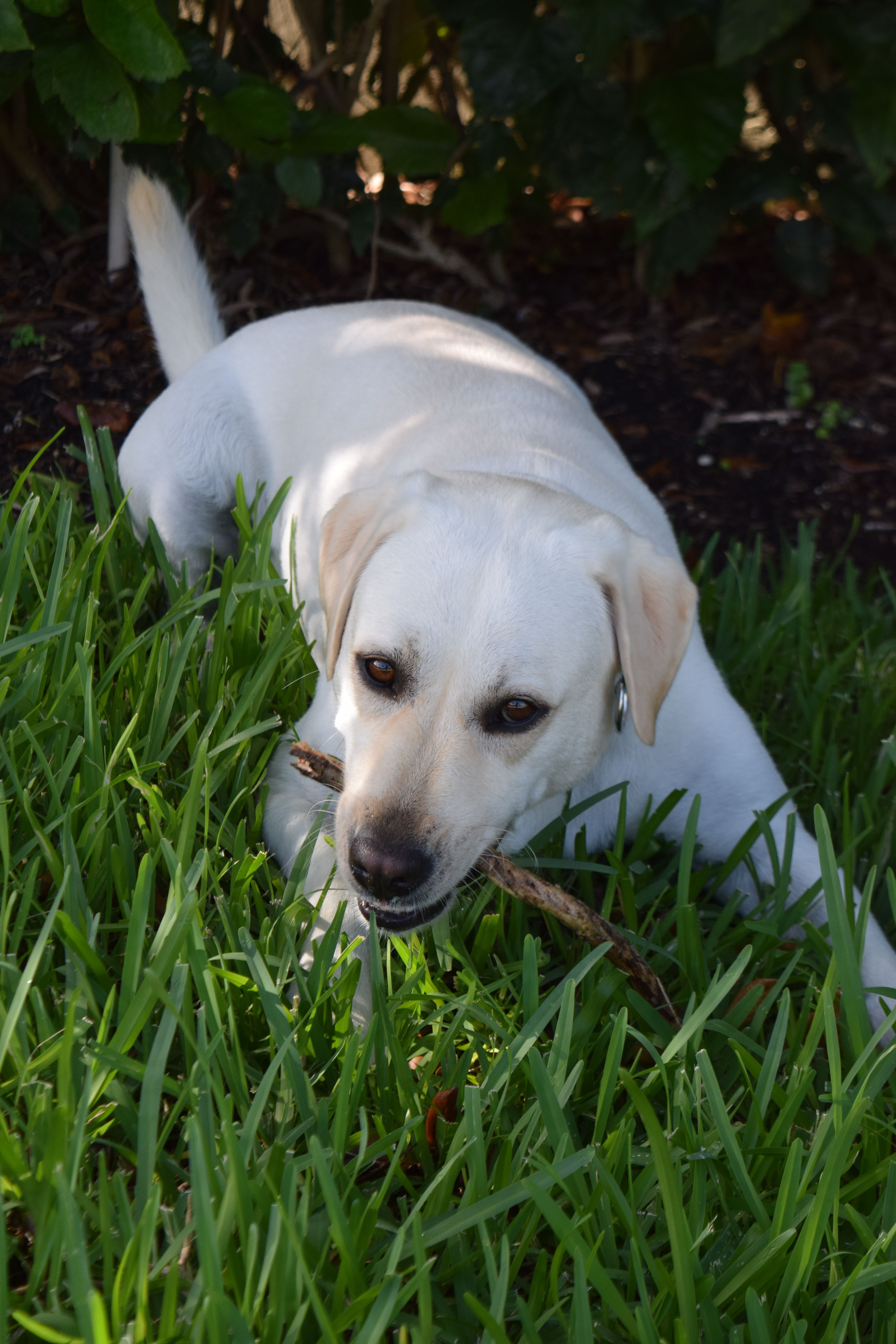 10,000+ Best Stick Photos · 100% Free Download · Pexels Stock Photos