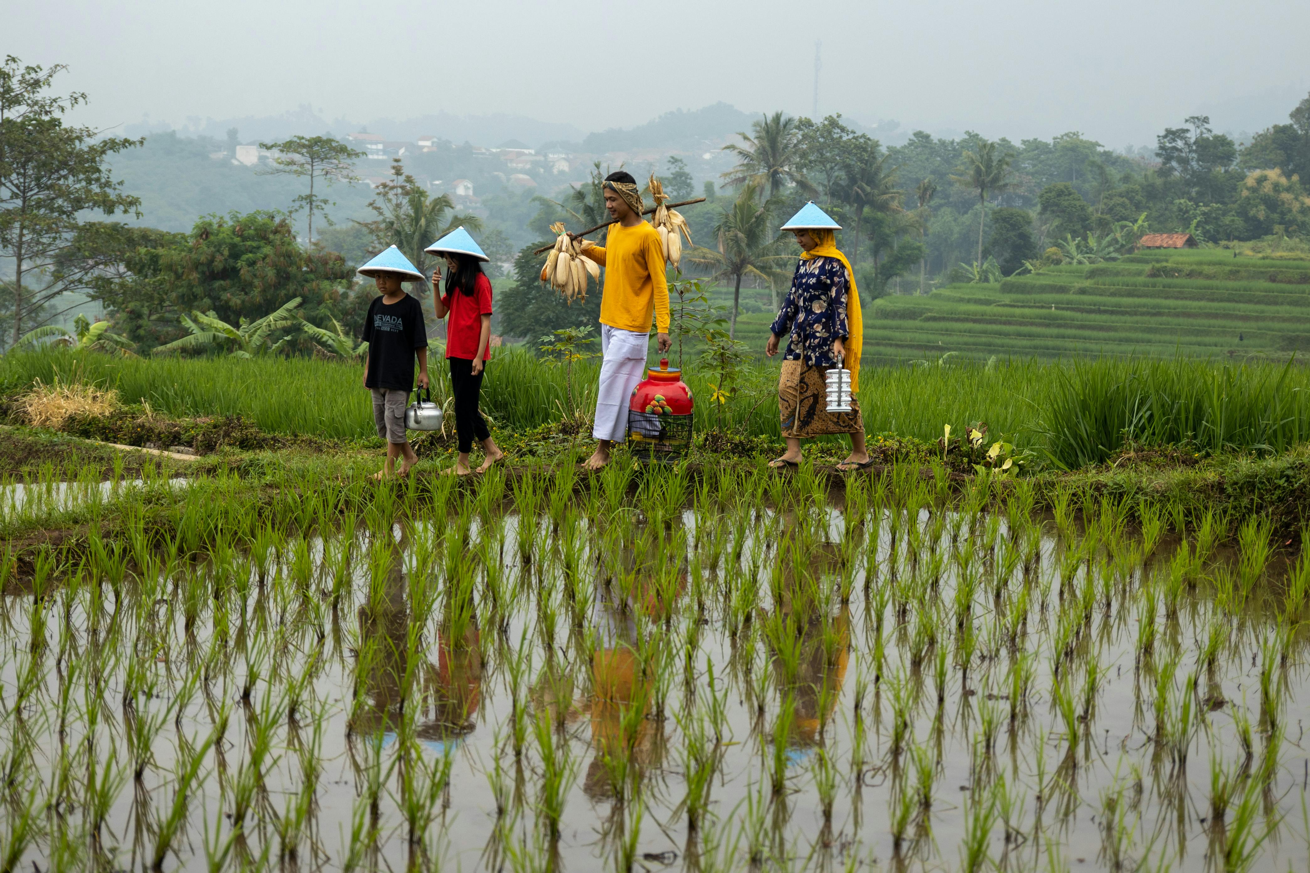 Farming Community Sri Lanka Photos, Download The BEST Free Farming ...