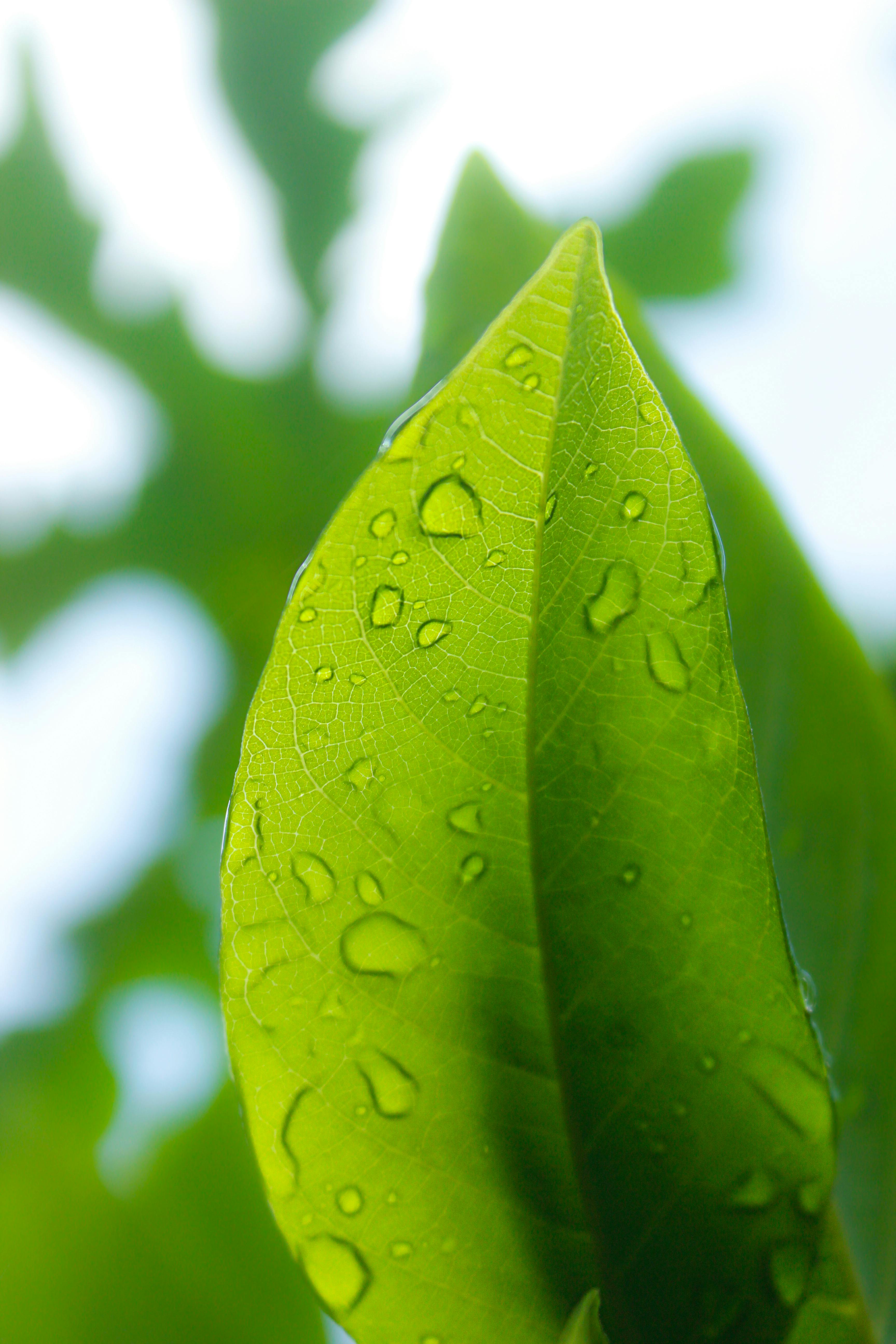 100.000+ Cyber-security-wallpaper-for-laptop Bilder und Fotos ...