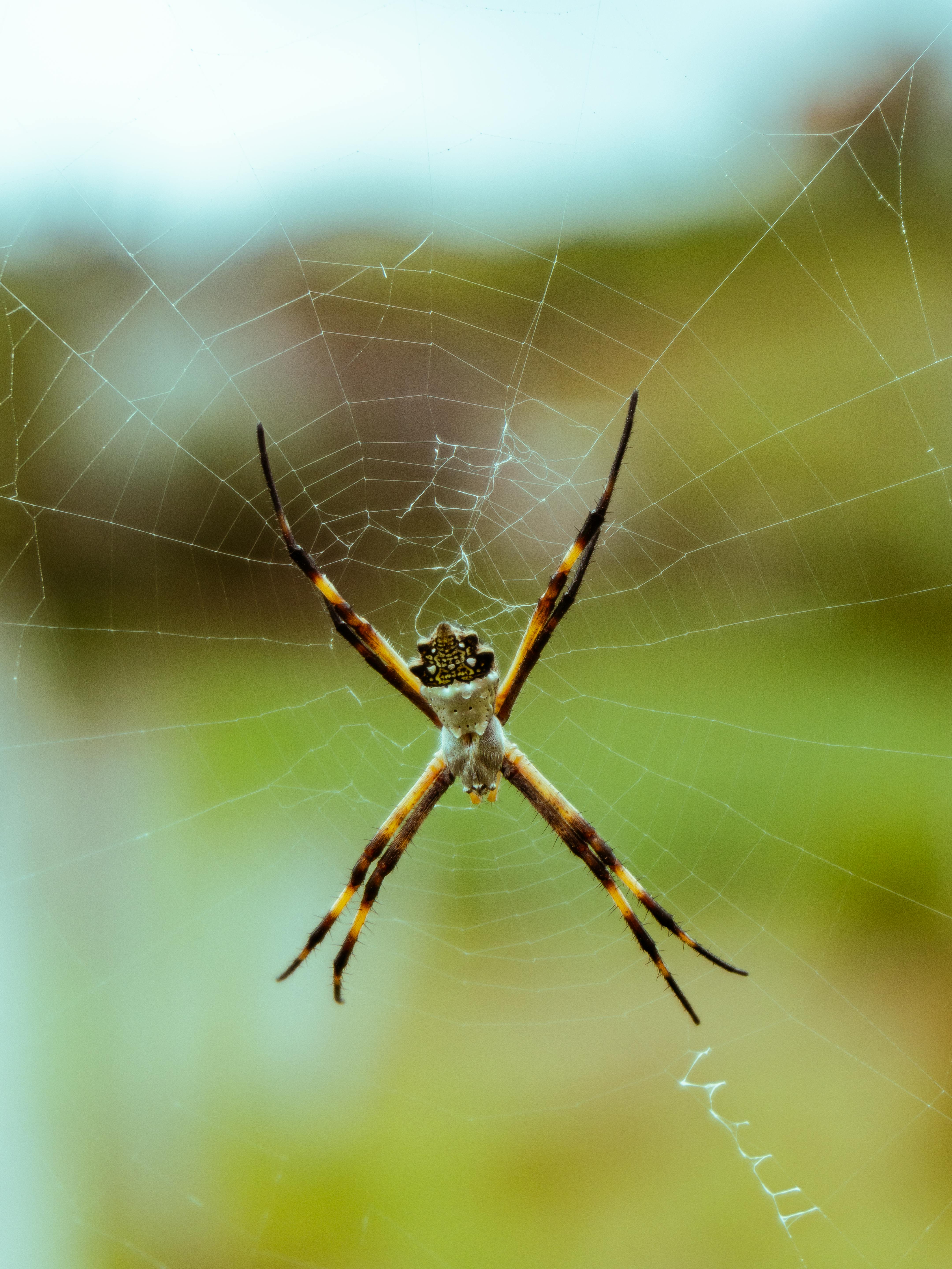 Details+Of+Transition Photos, Download The BEST Free Details+Of ...