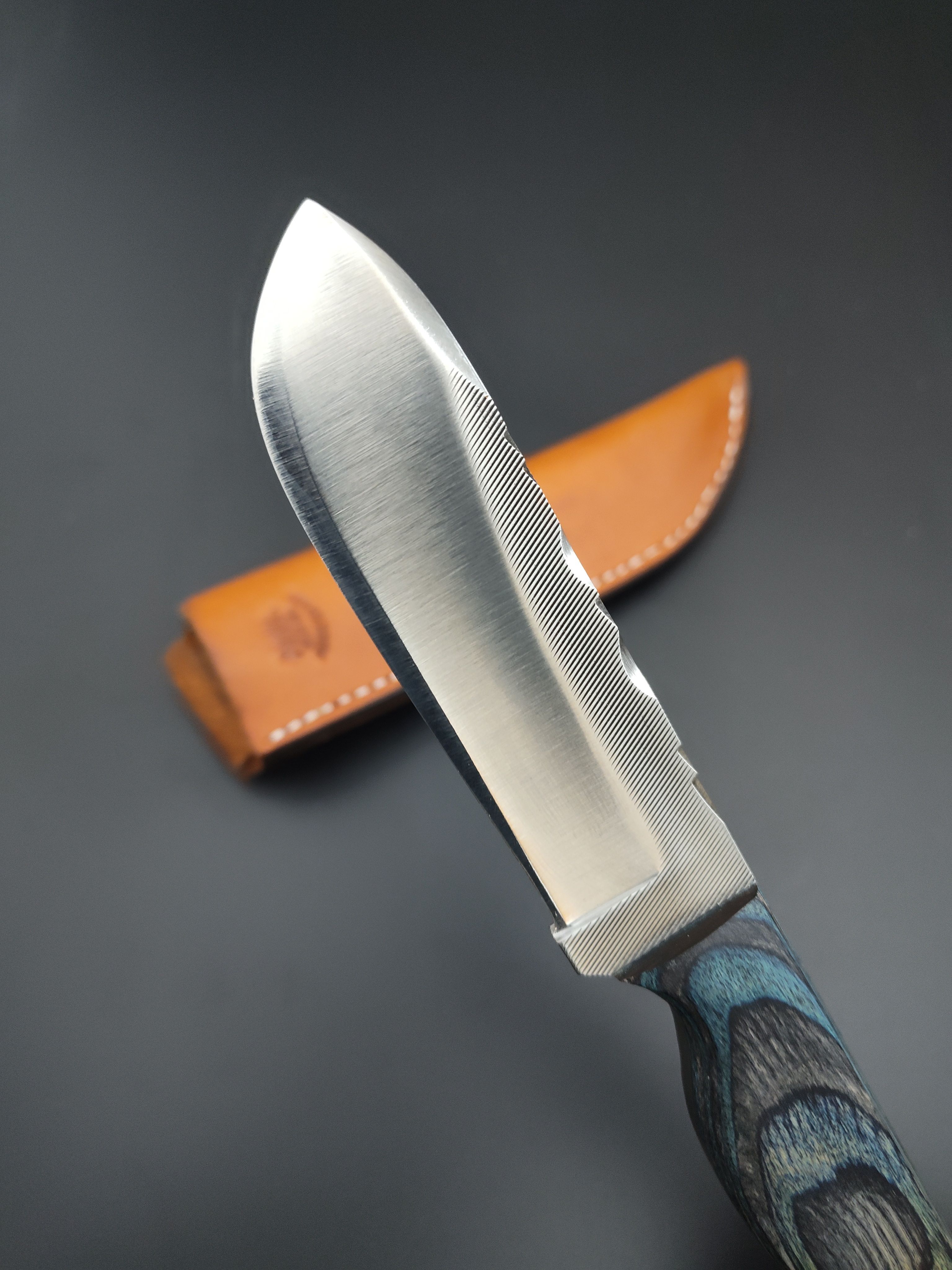 Sharp Fixed Blade Knife with Leather Sheath · Free Stock Photo