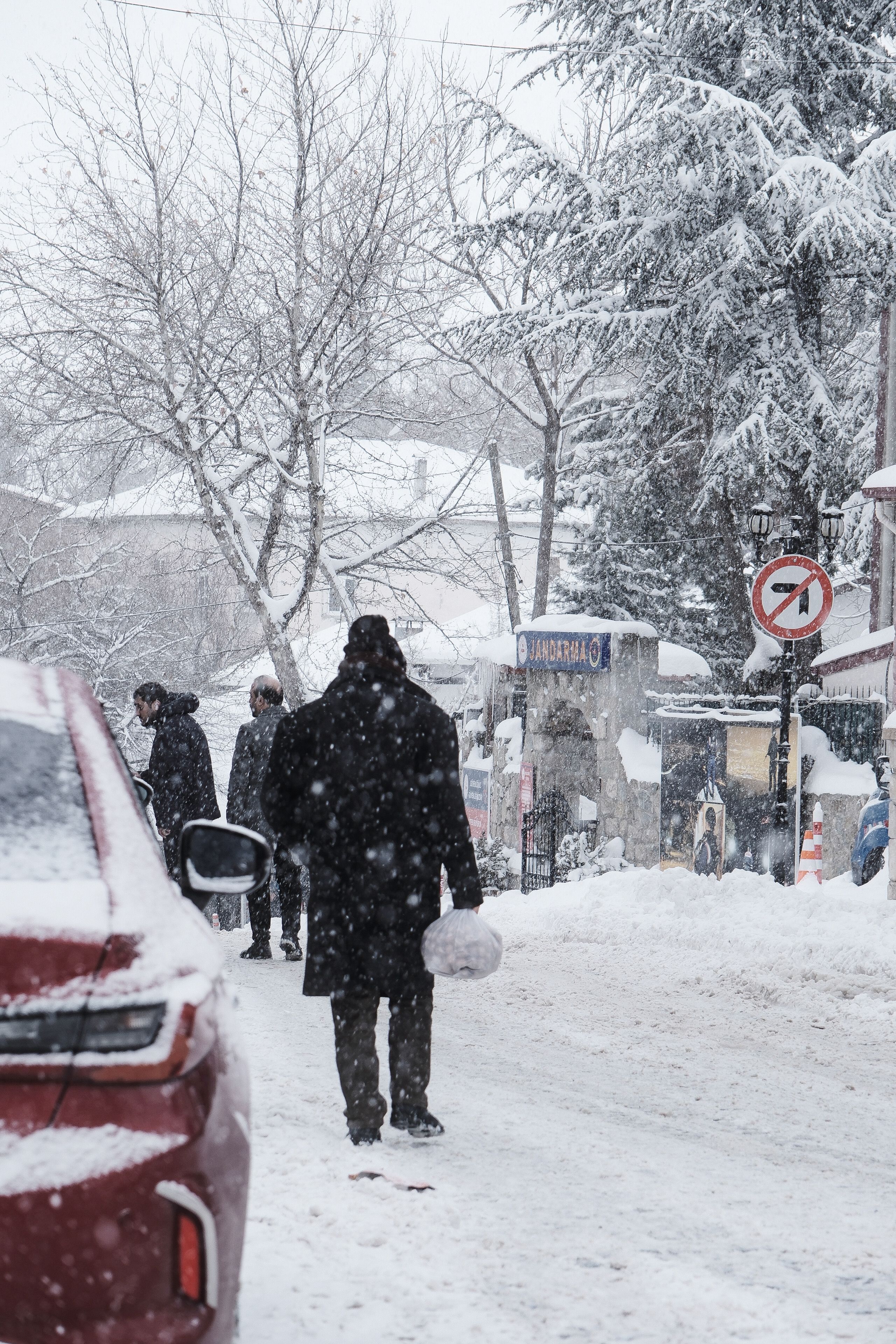 Blizzard Photos, Download The BEST Free Blizzard Stock Photos & HD Images