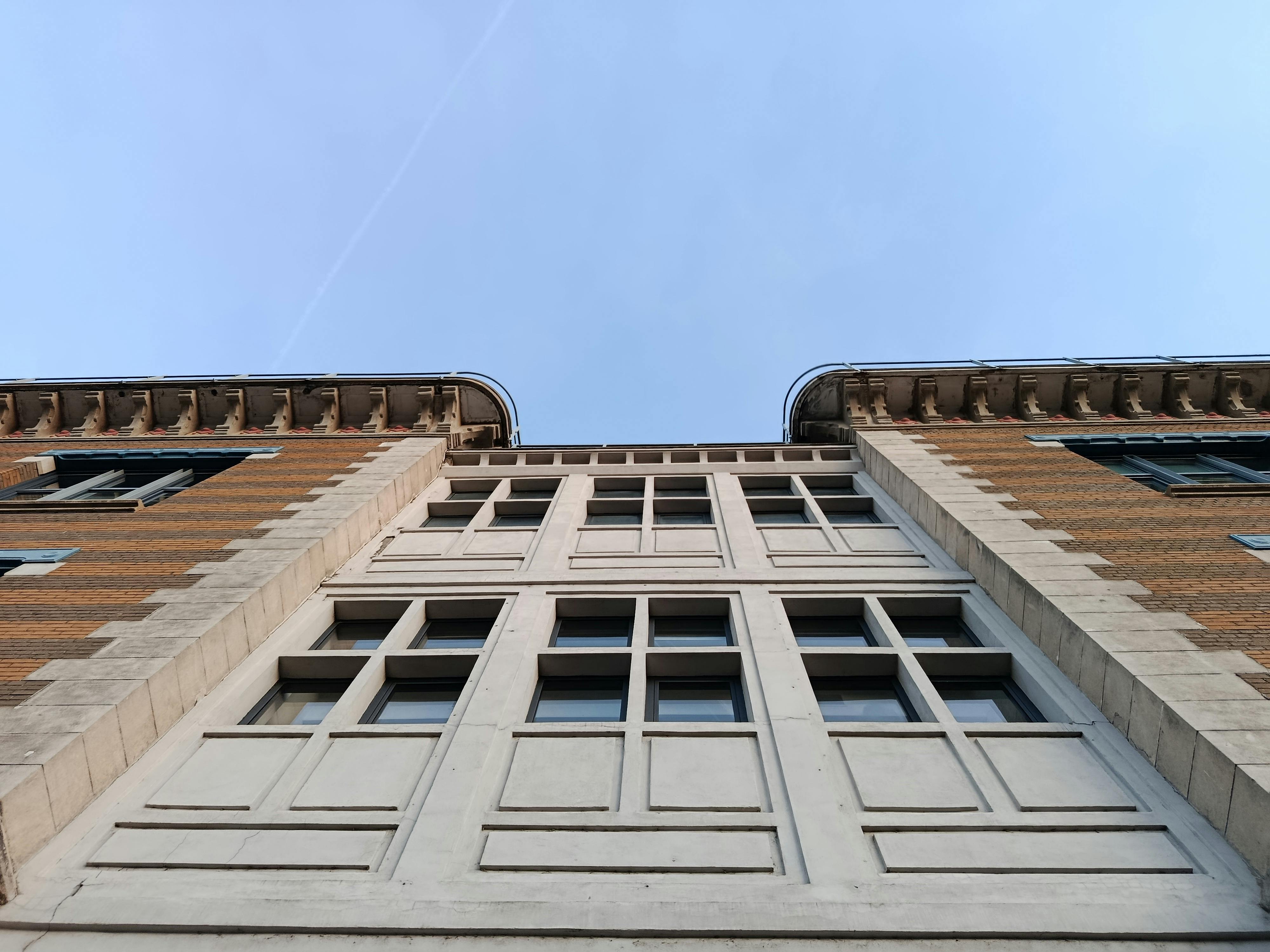 Ice+Age+5+Pxfuel Photos, Download The BEST Free Ice+Age+5+Pxfuel Stock ...