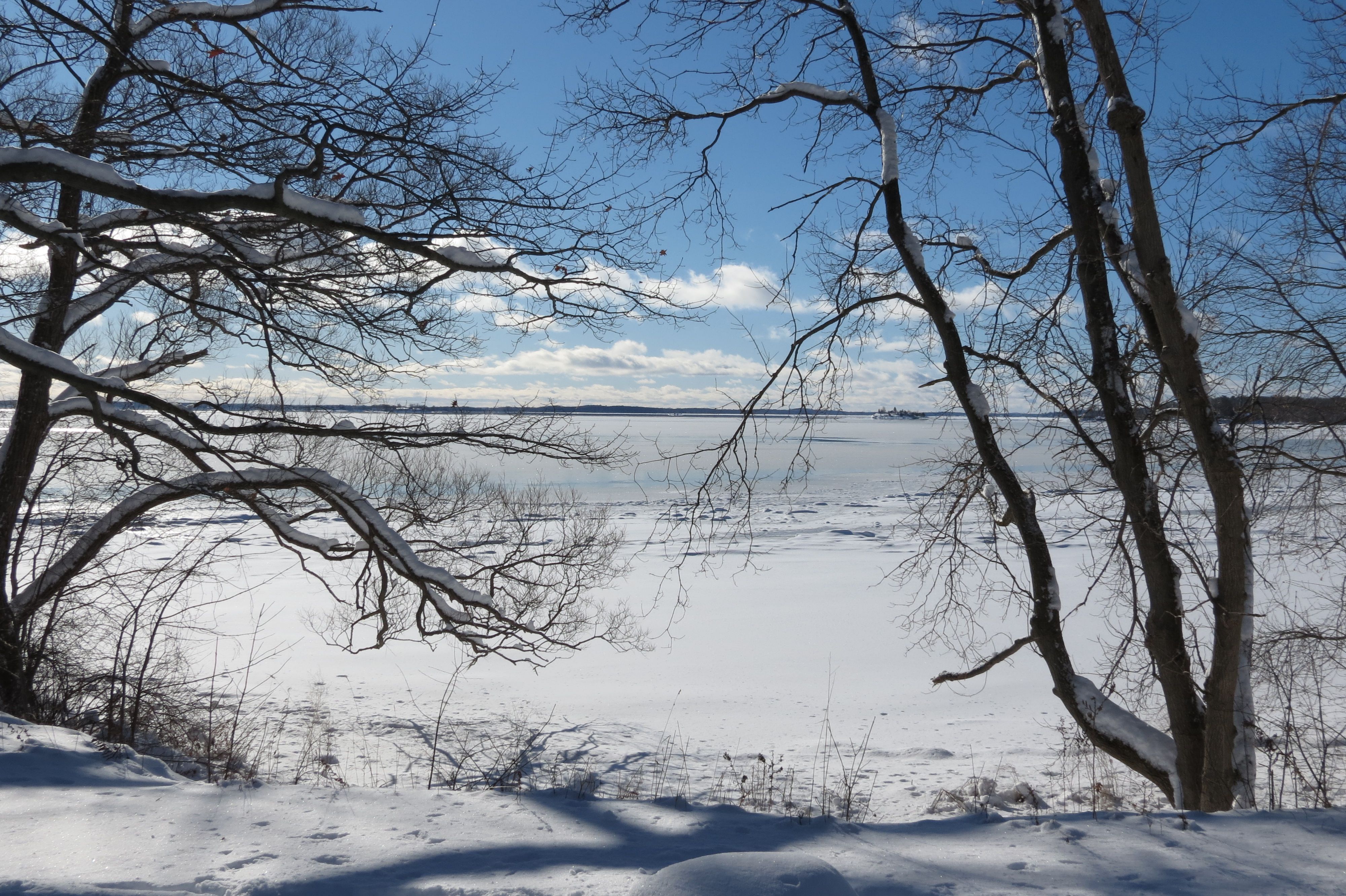 February Photos, Download The BEST Free February Stock Photos & HD Images