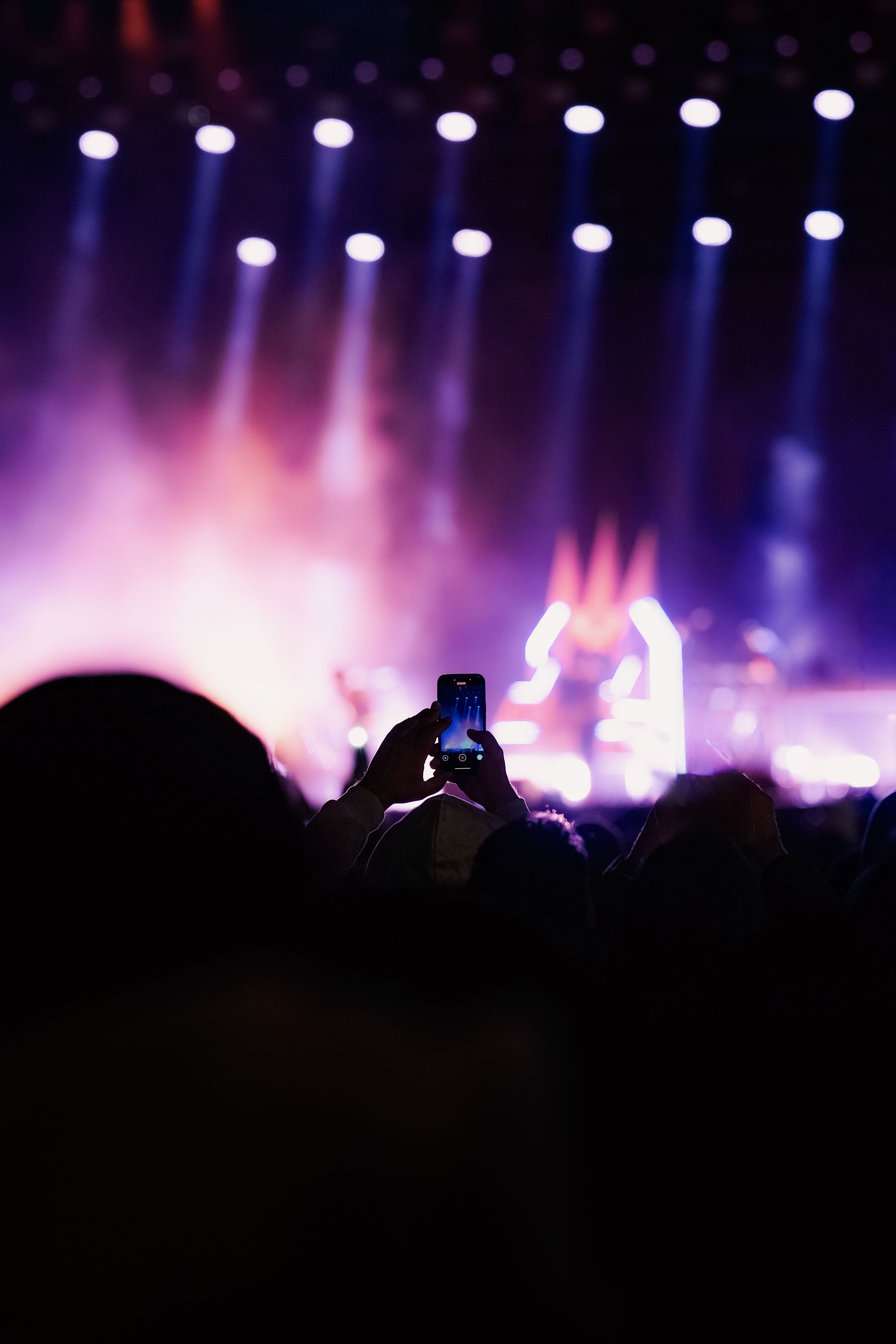 Live Photos, Download The BEST Free Live Stock Photos & HD Images