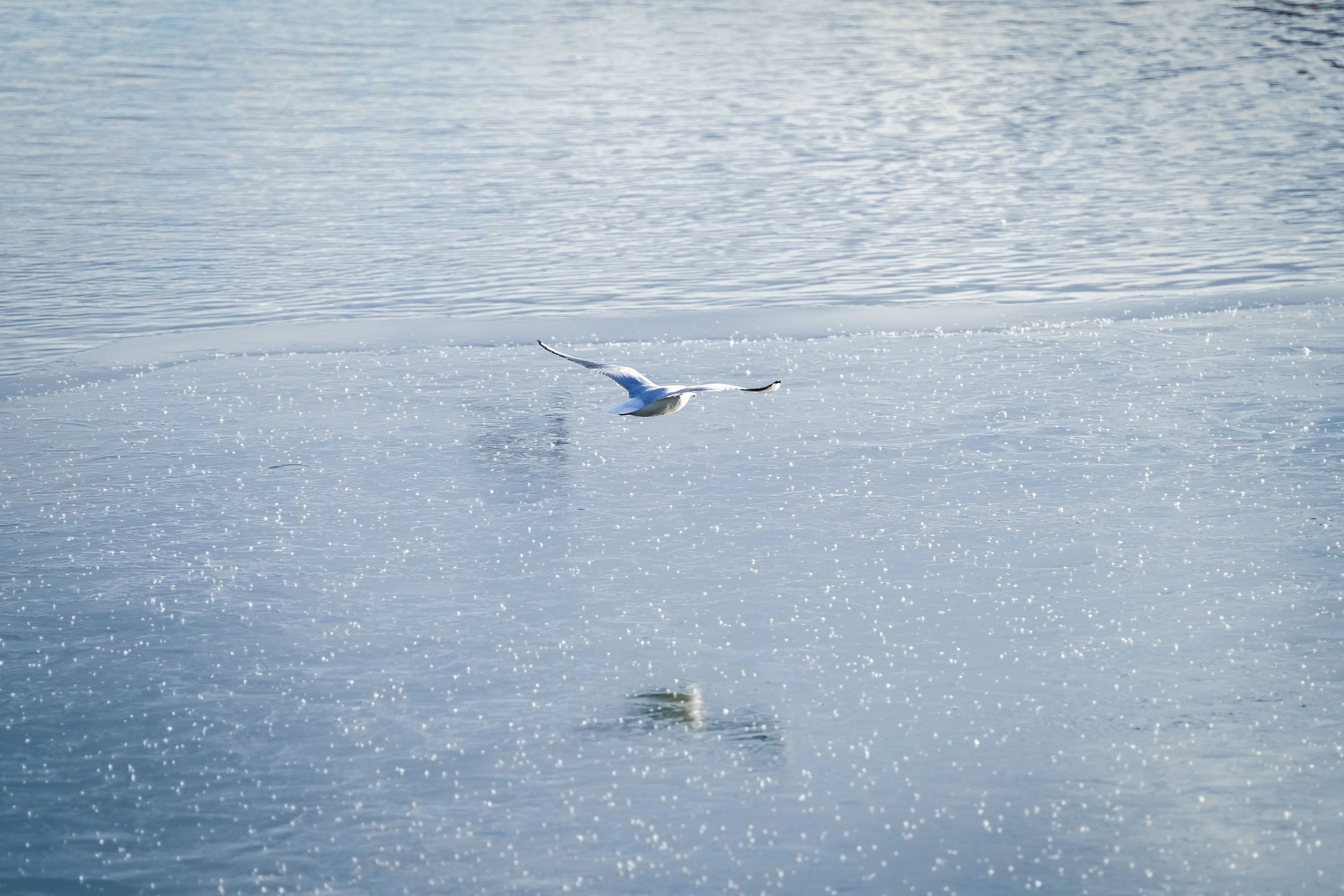 Natural Blue Sea Photos, Download The BEST Free Natural Blue Sea Stock ...