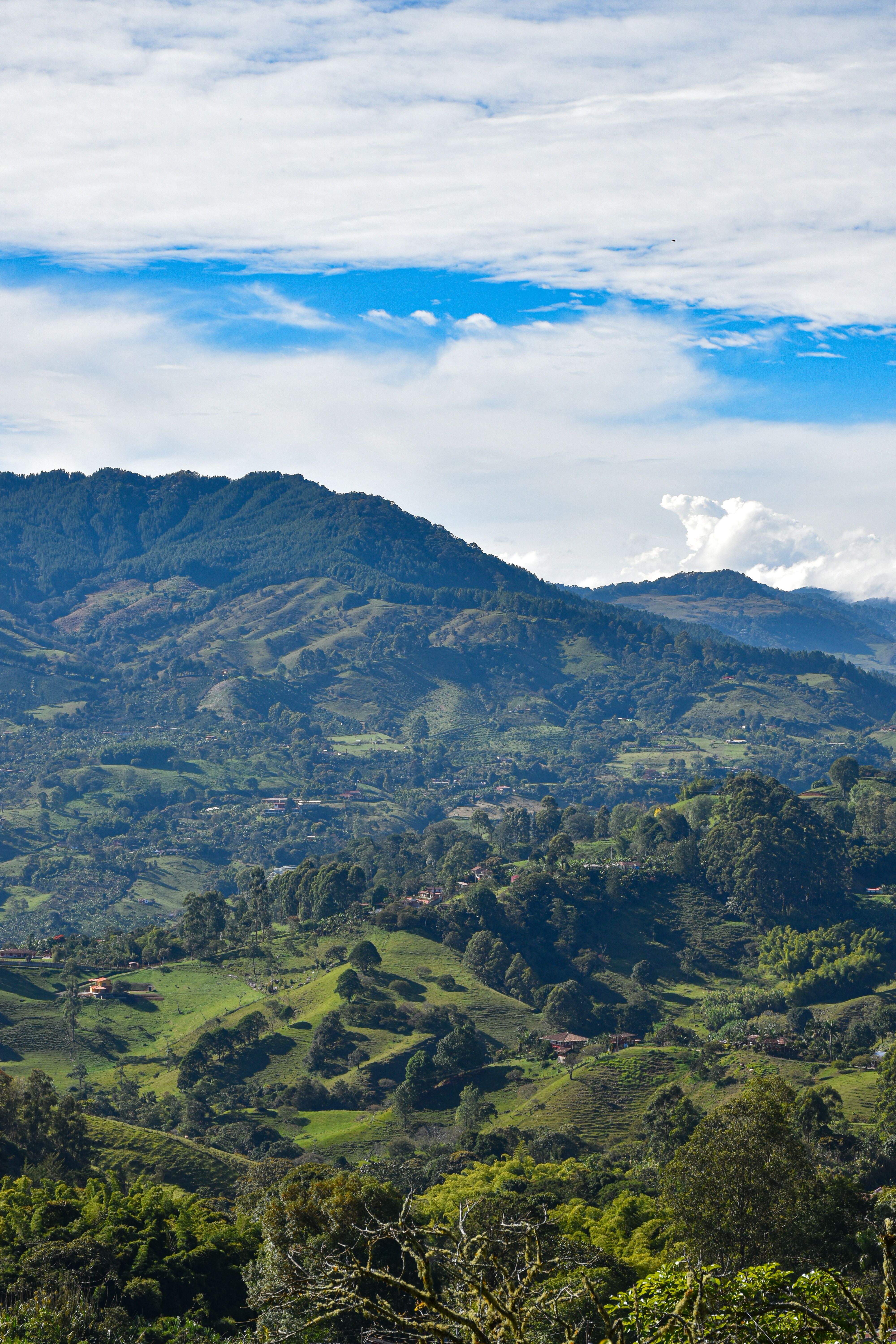Colombia Photos, Download The BEST Free Colombia Stock Photos & HD Images