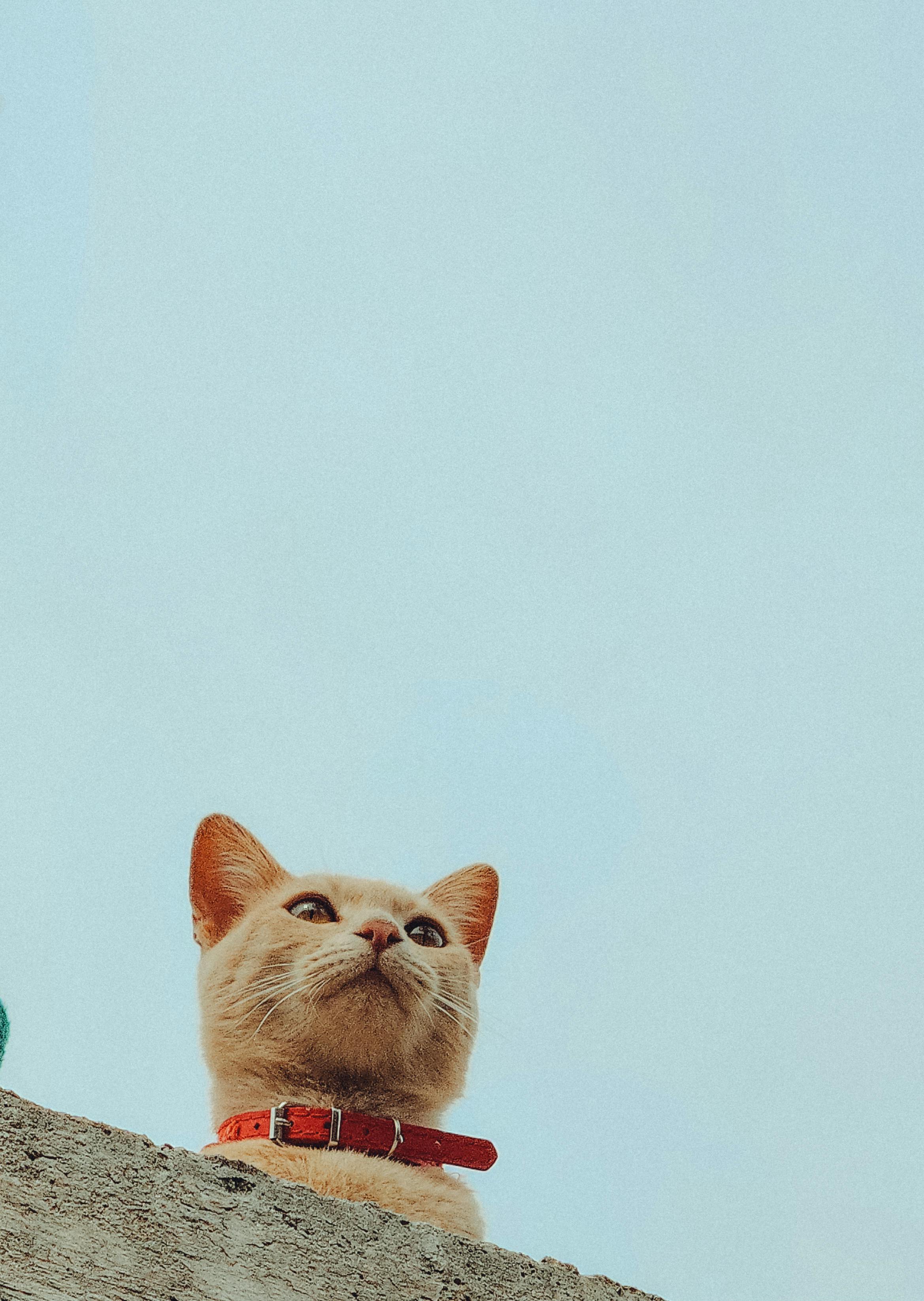 Good+Morning+Happy+Friday+Cold Photos, Download The BEST Free Good ...