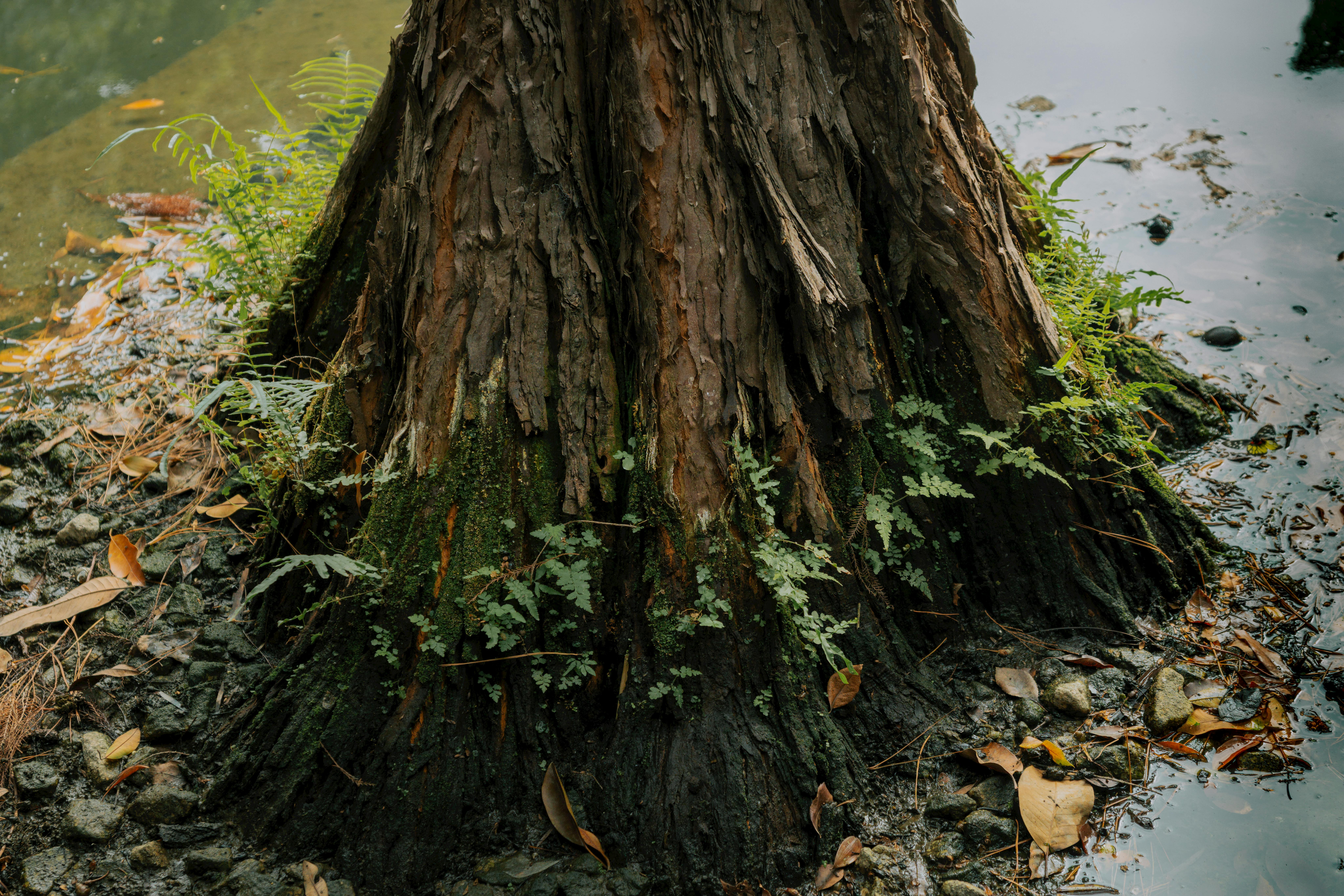 40.210+ Fotos y Imágenes de 3d+mom+comicks Gratis · Banco de Fotos Gratis