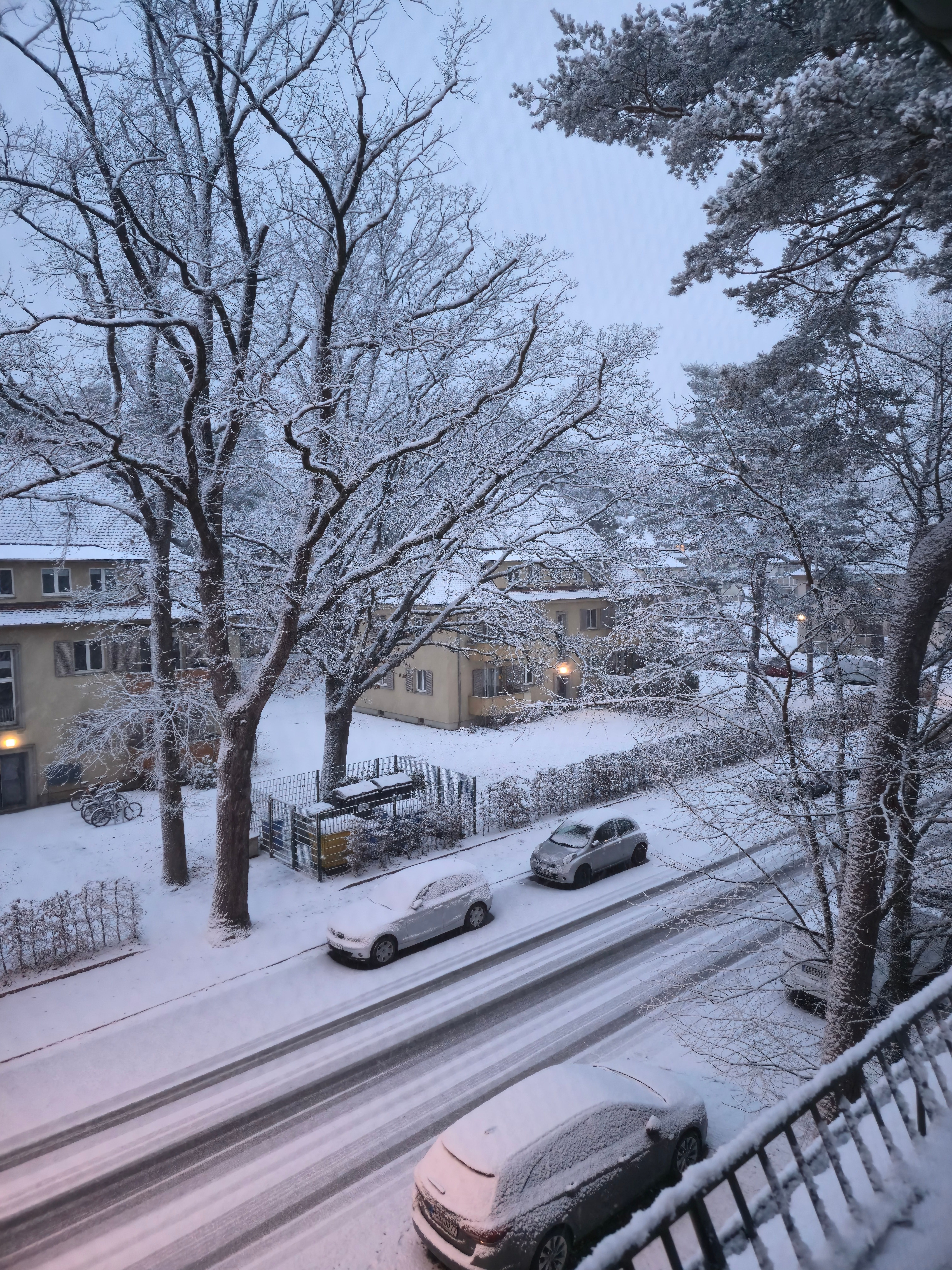 Winter Street View with Snow-Covered Trees · Free Stock Photo