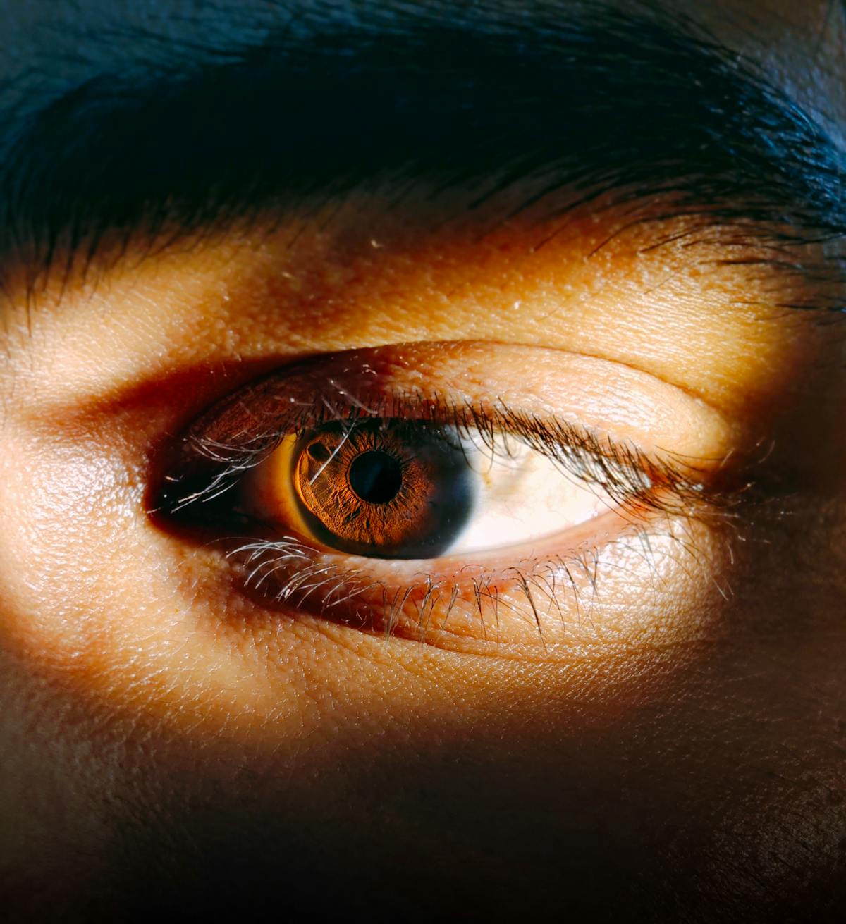 Human Feces Photos, Download The BEST Free Human Feces Stock Photos ...