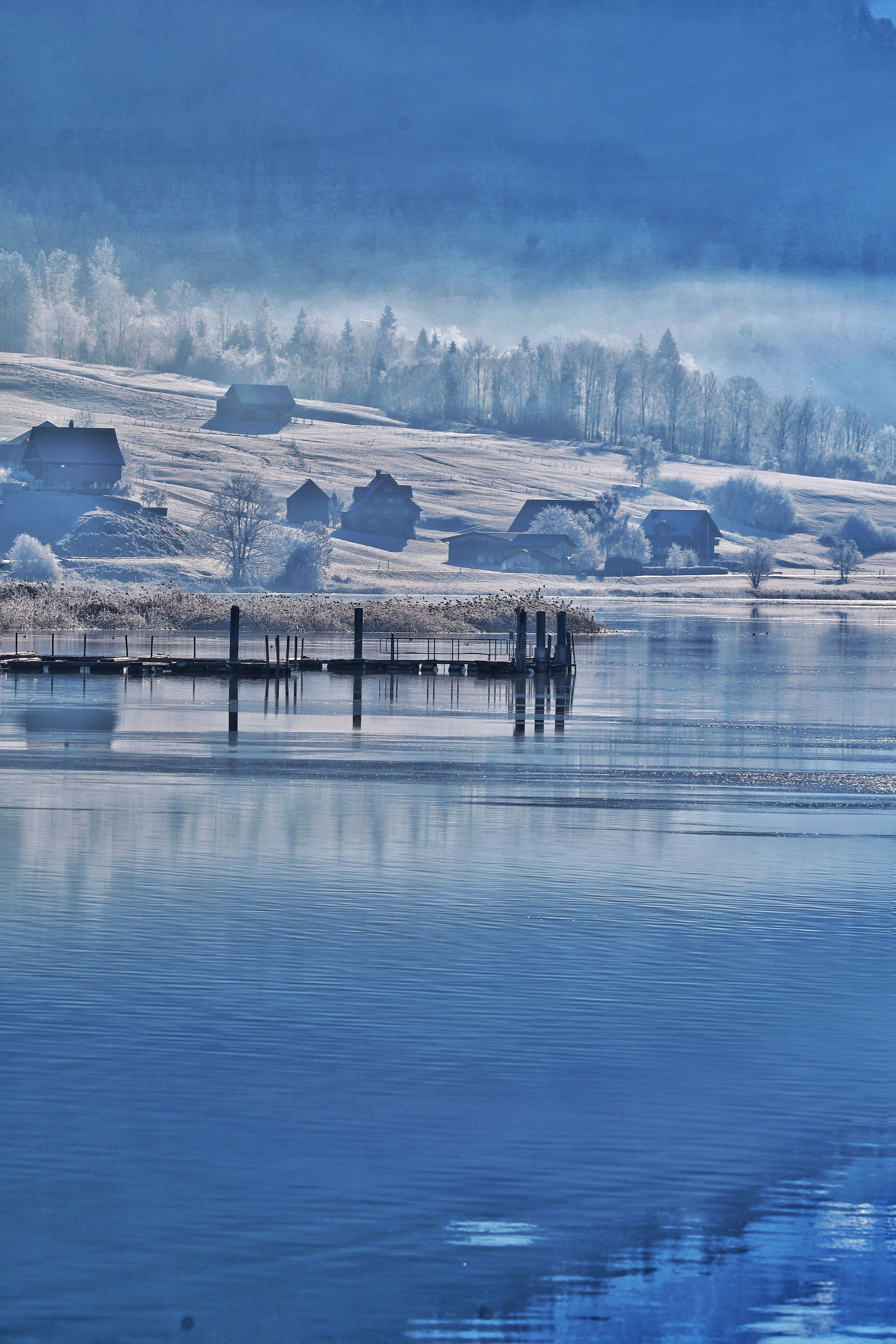 Serene Winter Lake Scene with Frosty Landscape · Free Stock Photo
