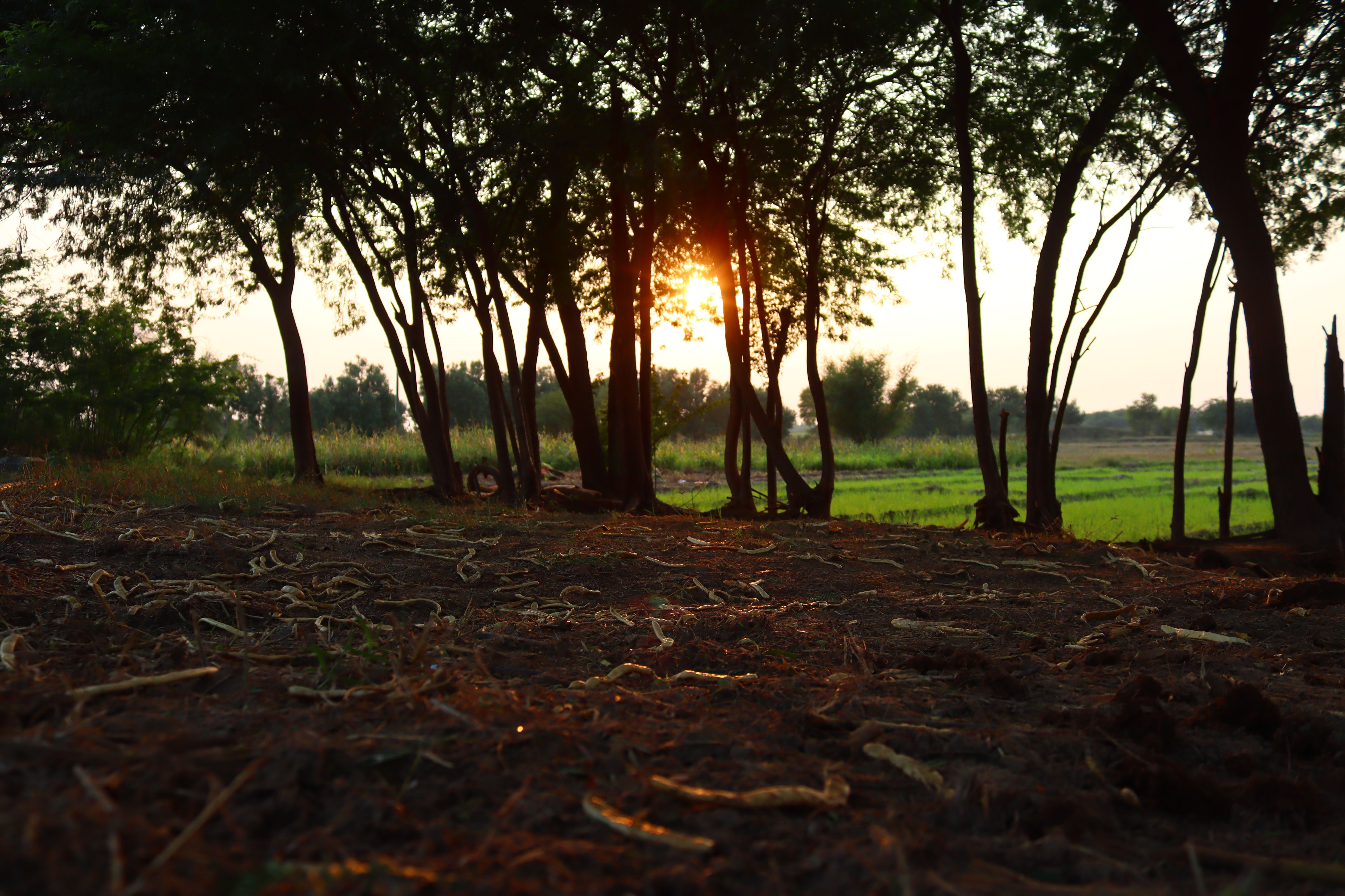 Dirt Map Photos, Download The BEST Free Dirt Map Stock Photos & HD Images