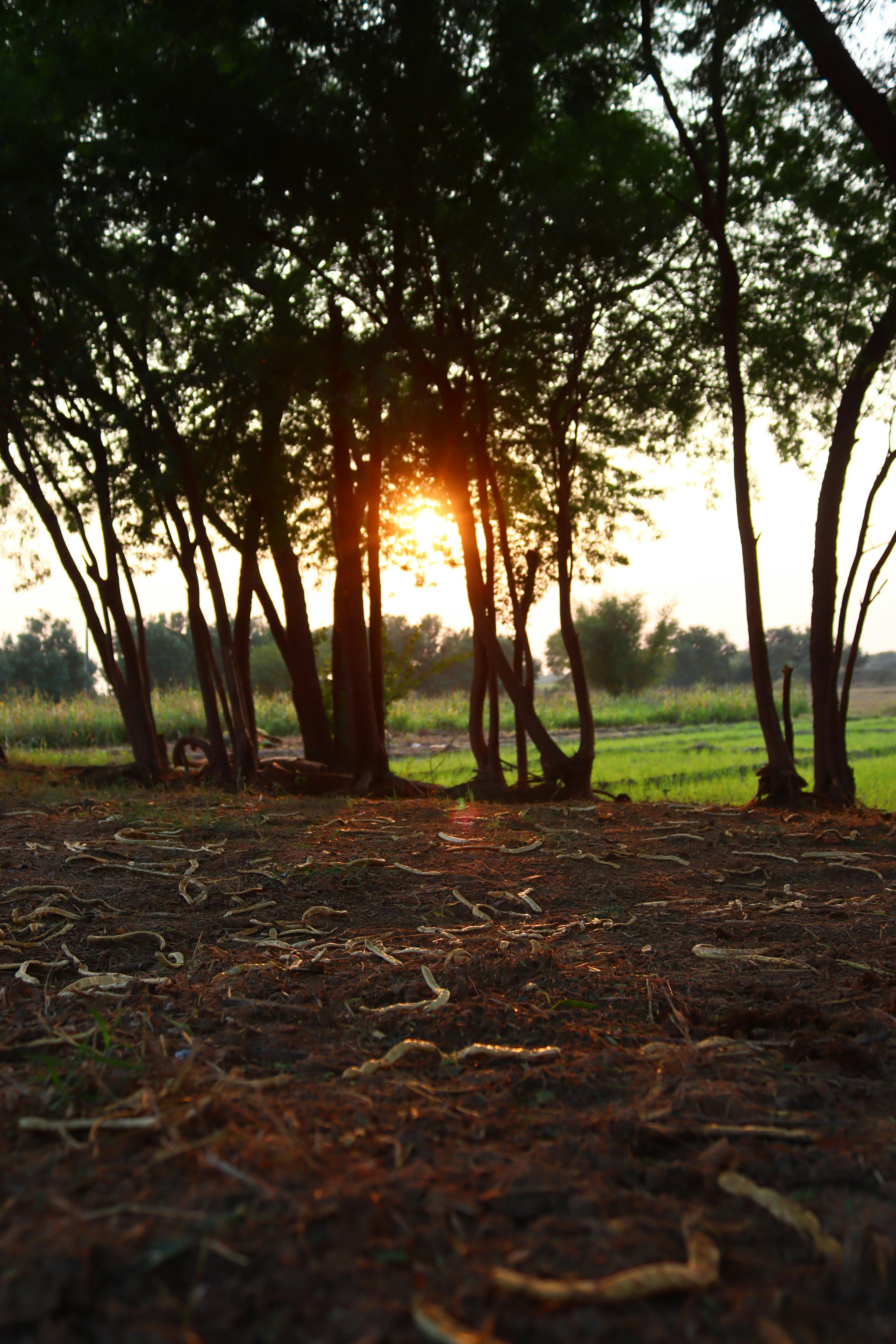 Square Root 123 Photos, Download The BEST Free Square Root 123 Stock ...