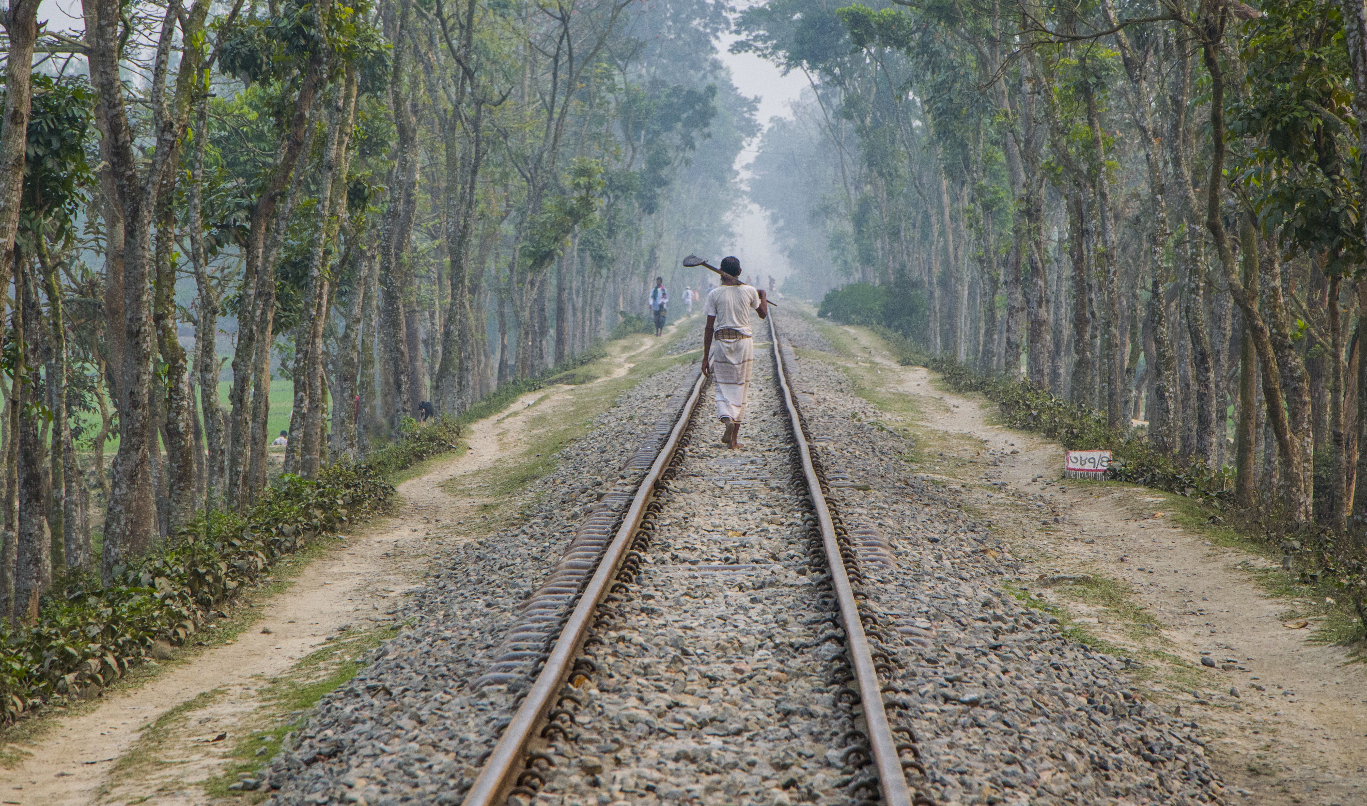 Walking Tracks Photos, Download The BEST Free Walking Tracks Stock ...