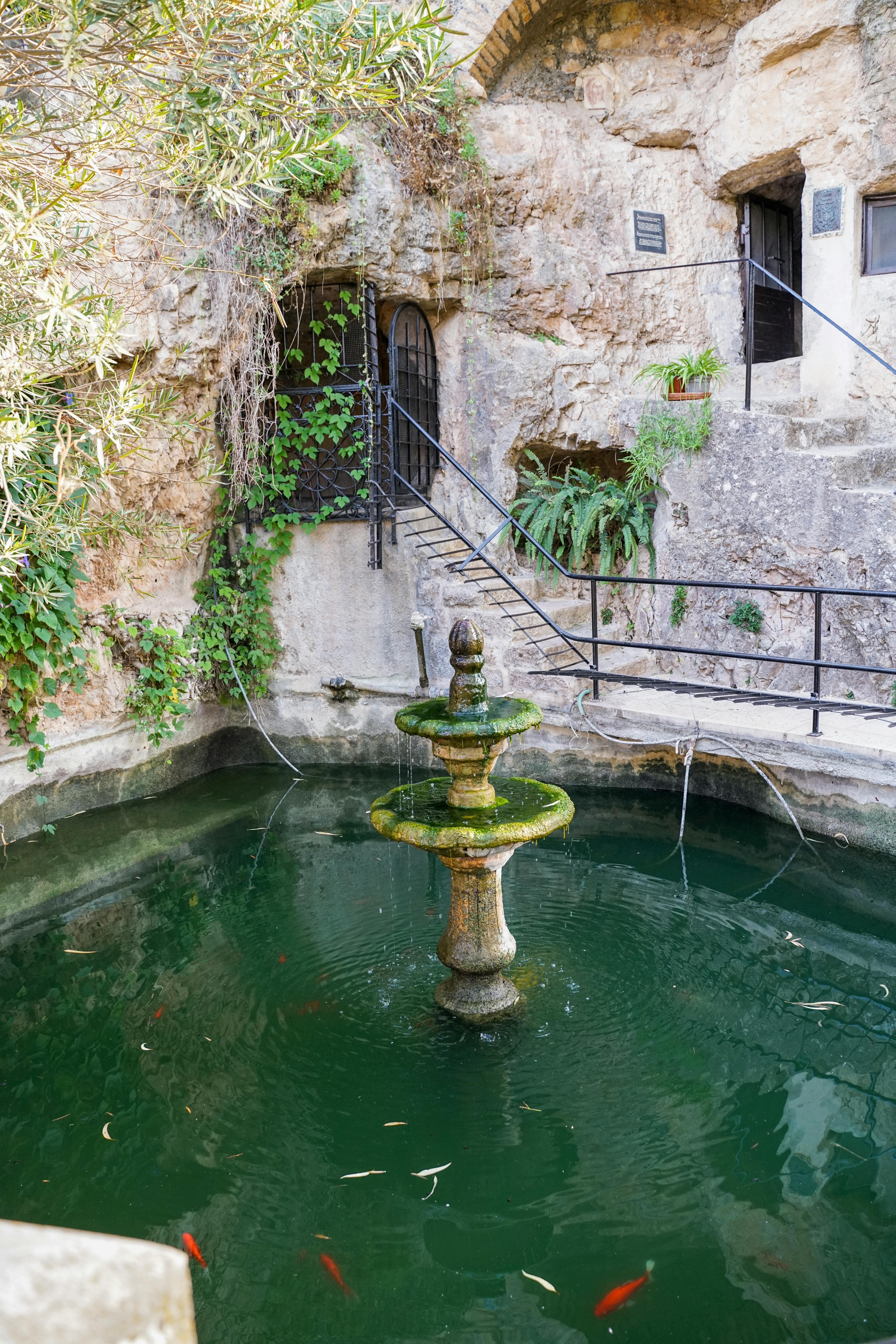 Walleye Fish Photos, Download The BEST Free Walleye Fish Stock Photos ...