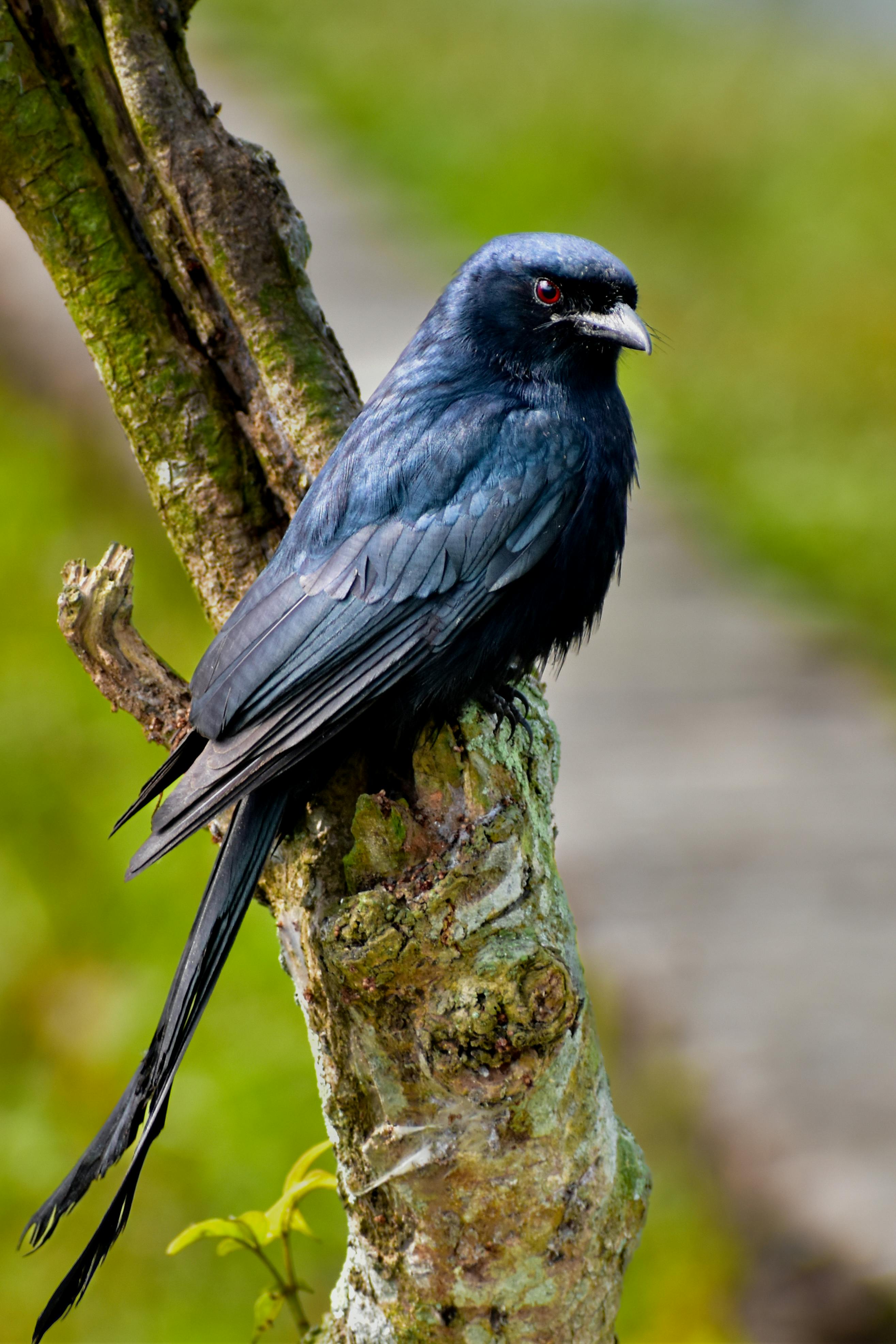 Field+&+Farm Photos, Download The BEST Free Field+&+Farm Stock Photos ...