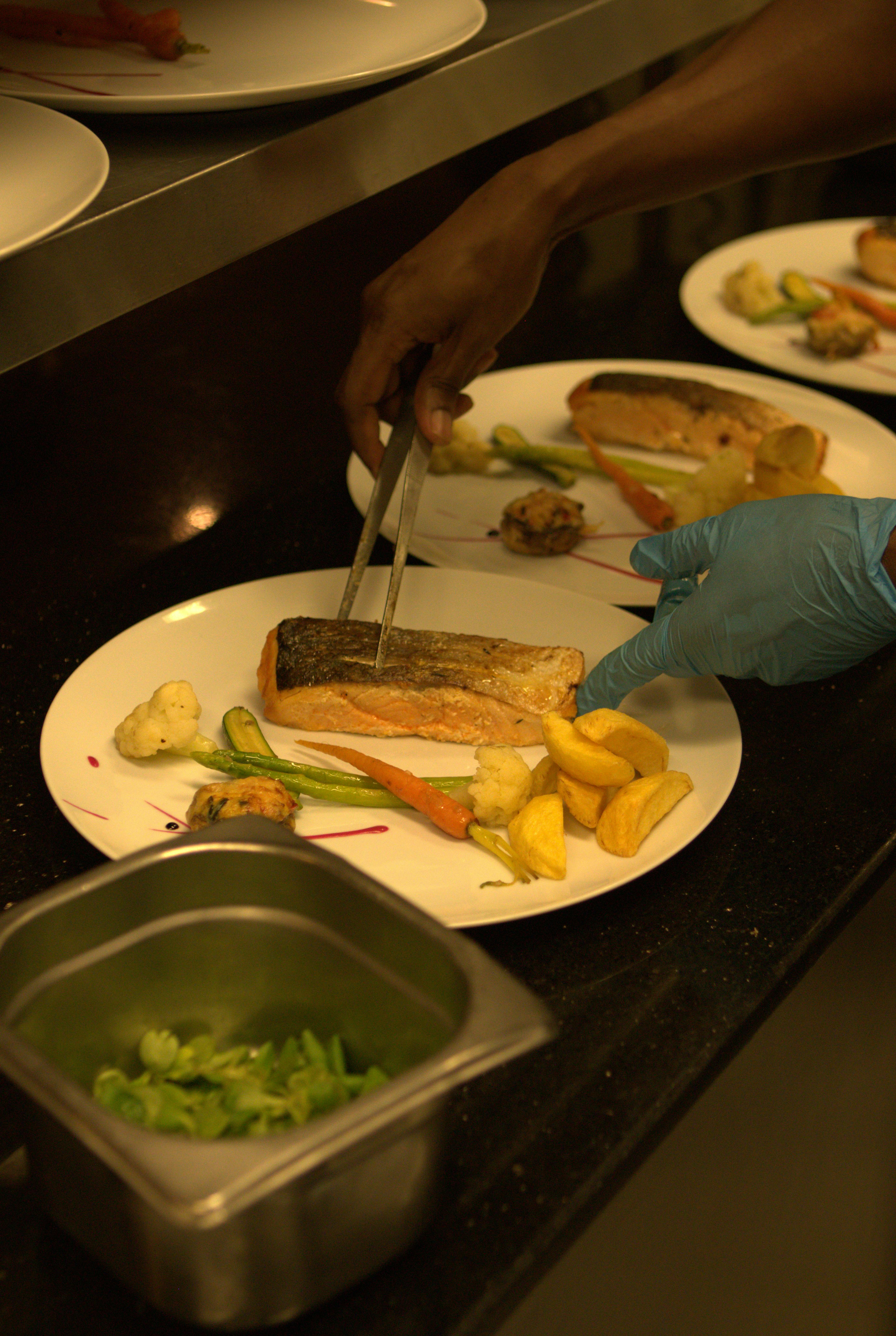 Walleye Fish Photos, Download The BEST Free Walleye Fish Stock Photos ...