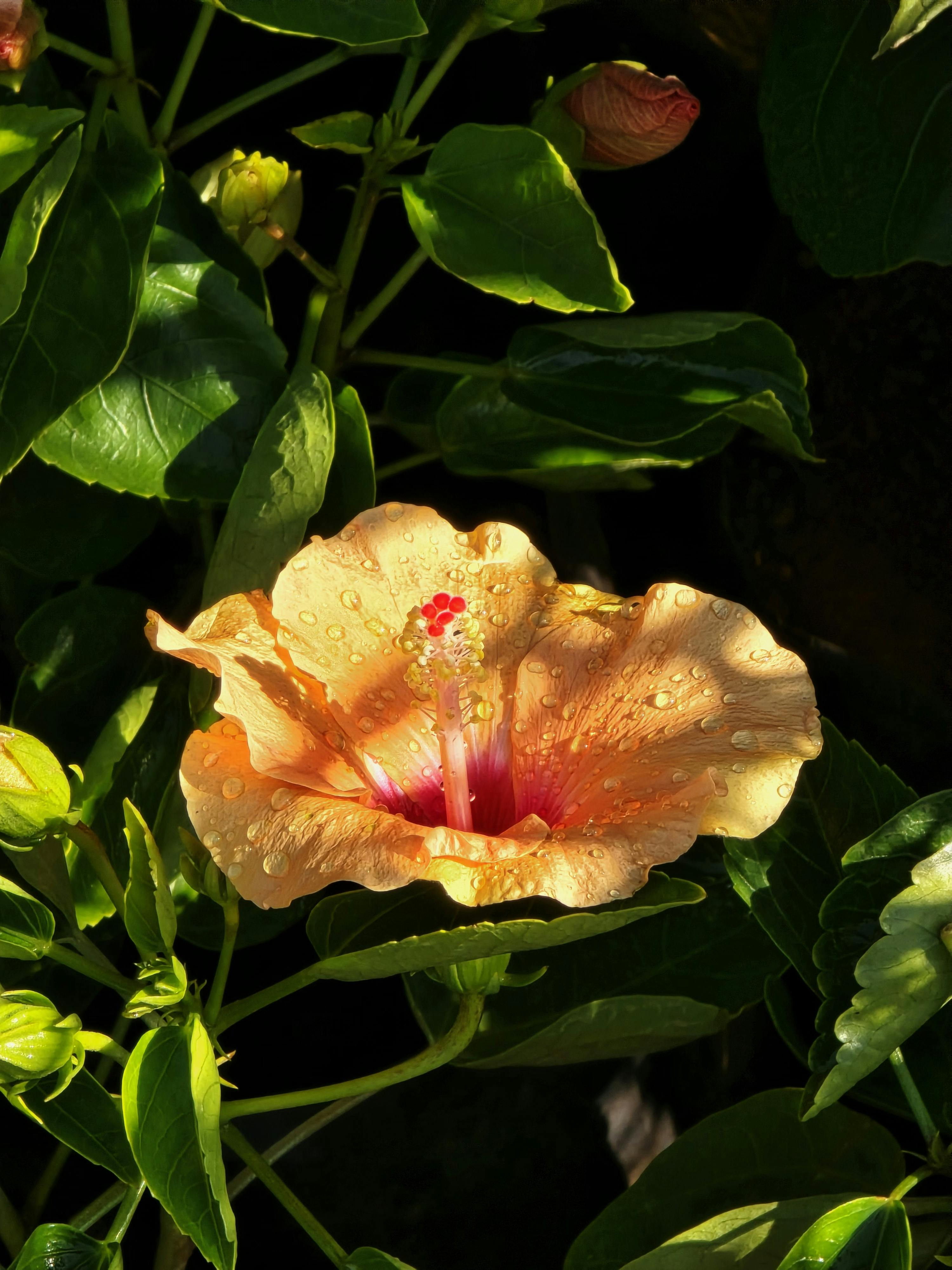 Photoshop+Shortcut+Before+And+After Photos, Download The BEST Free ...