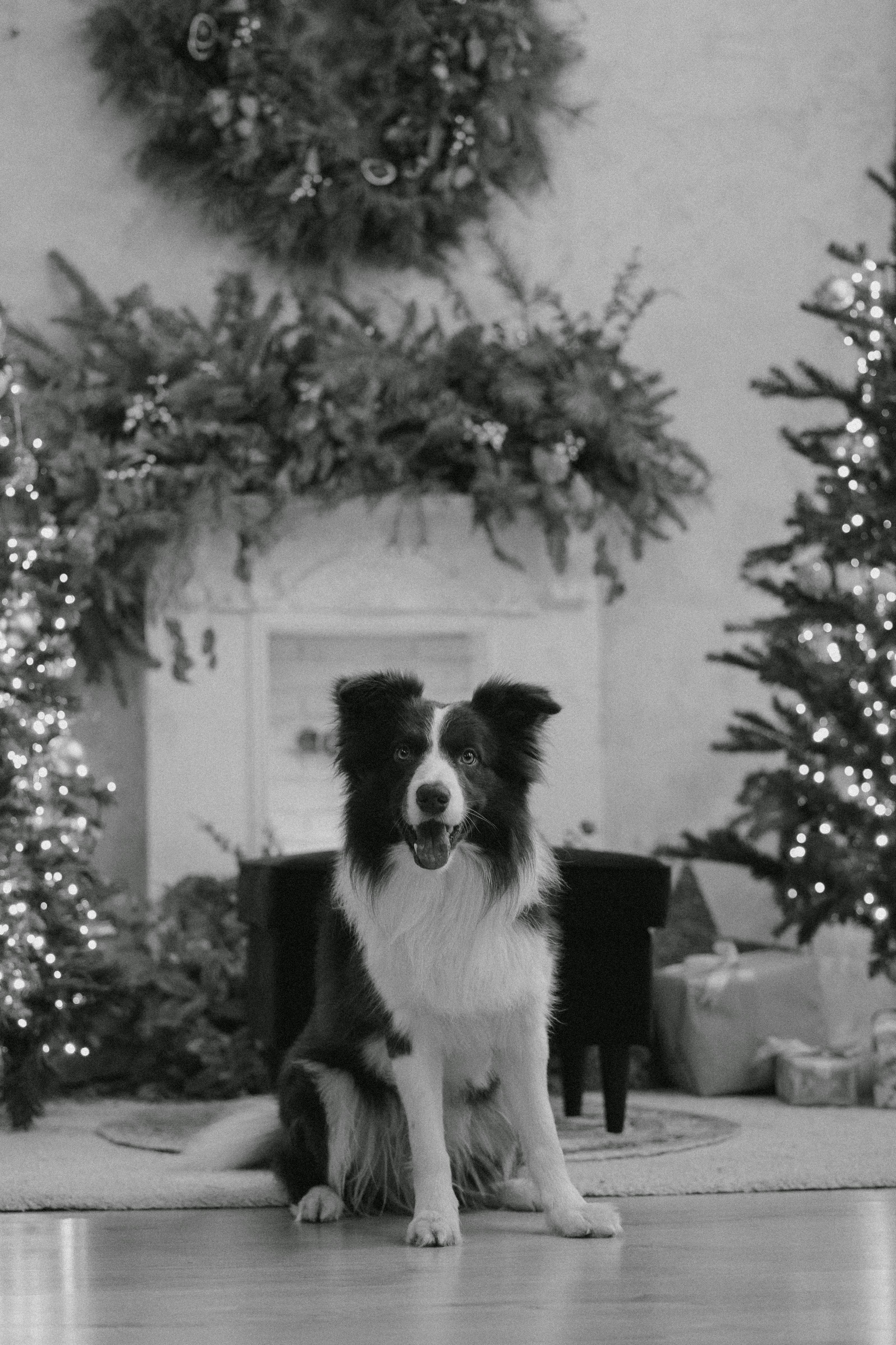 Kids Christmas Picture Santa Photos, Download The BEST Free Kids ...