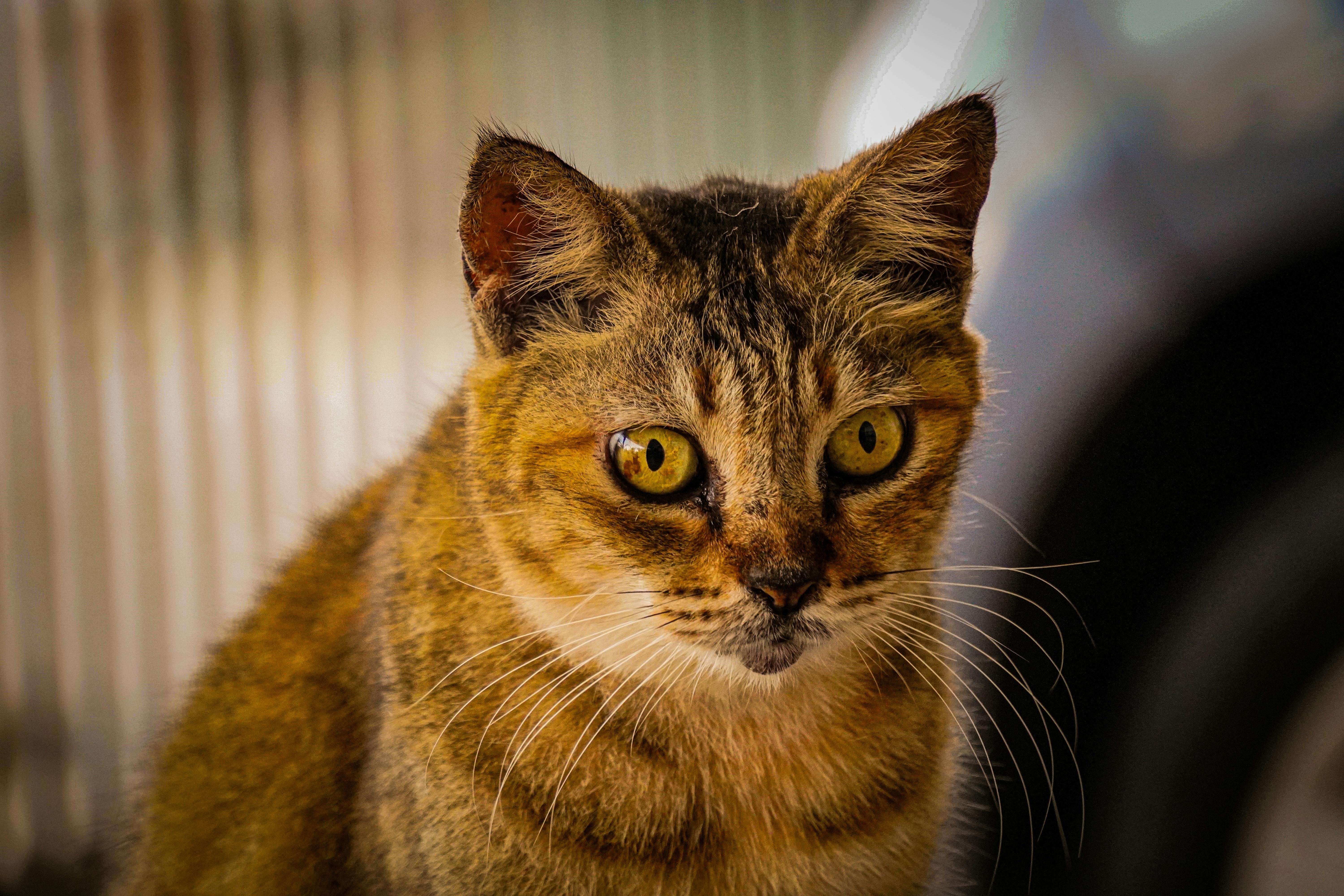 Sitting+Up+Riding Photos, Download The BEST Free Sitting+Up+Riding ...