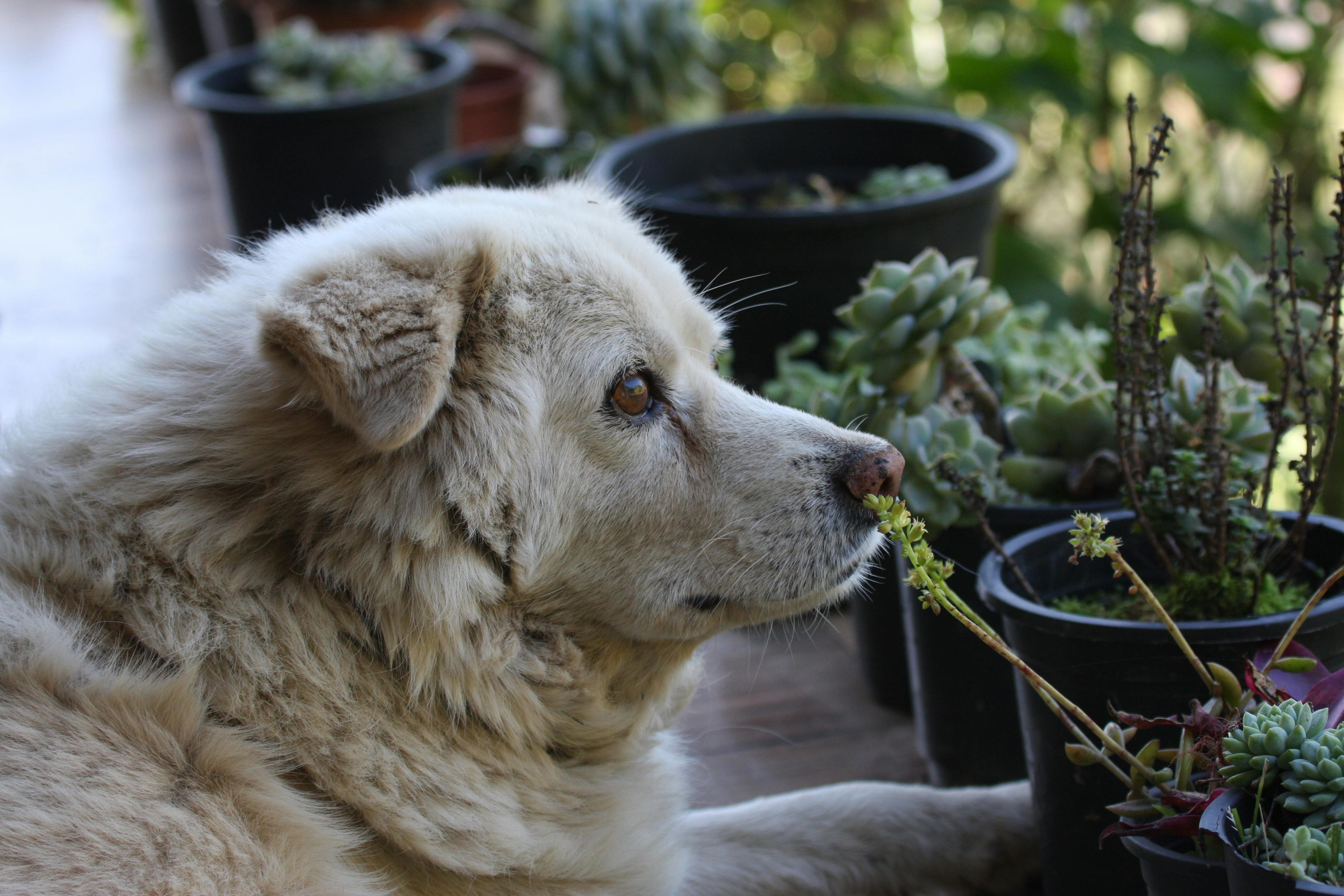 10.000+ Yify+hd+movies Bilder und Fotos · Kostenlos Downloaden · Pexels ...