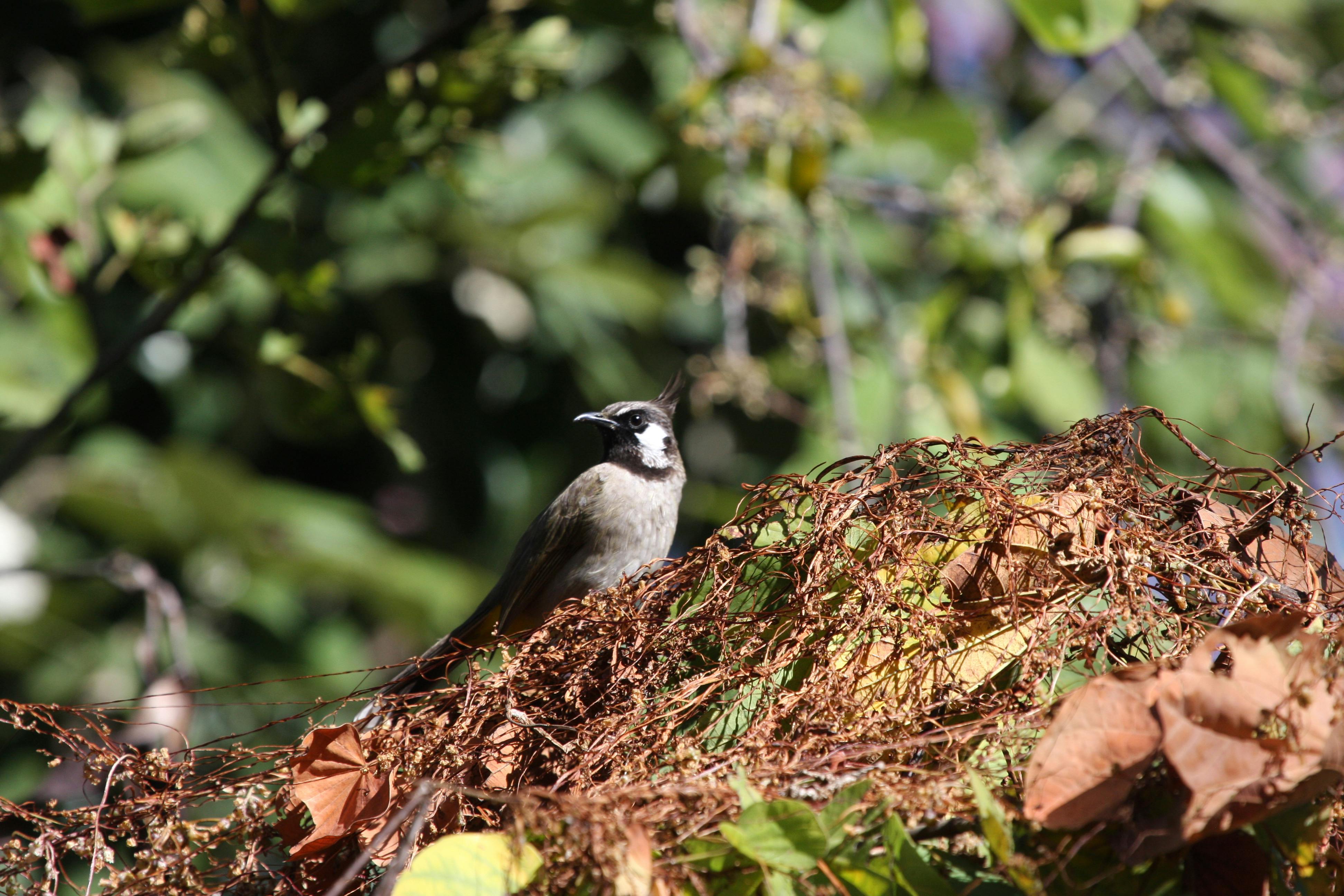 100.000+ Cyber-security-wallpaper-for-laptop Bilder und Fotos ...