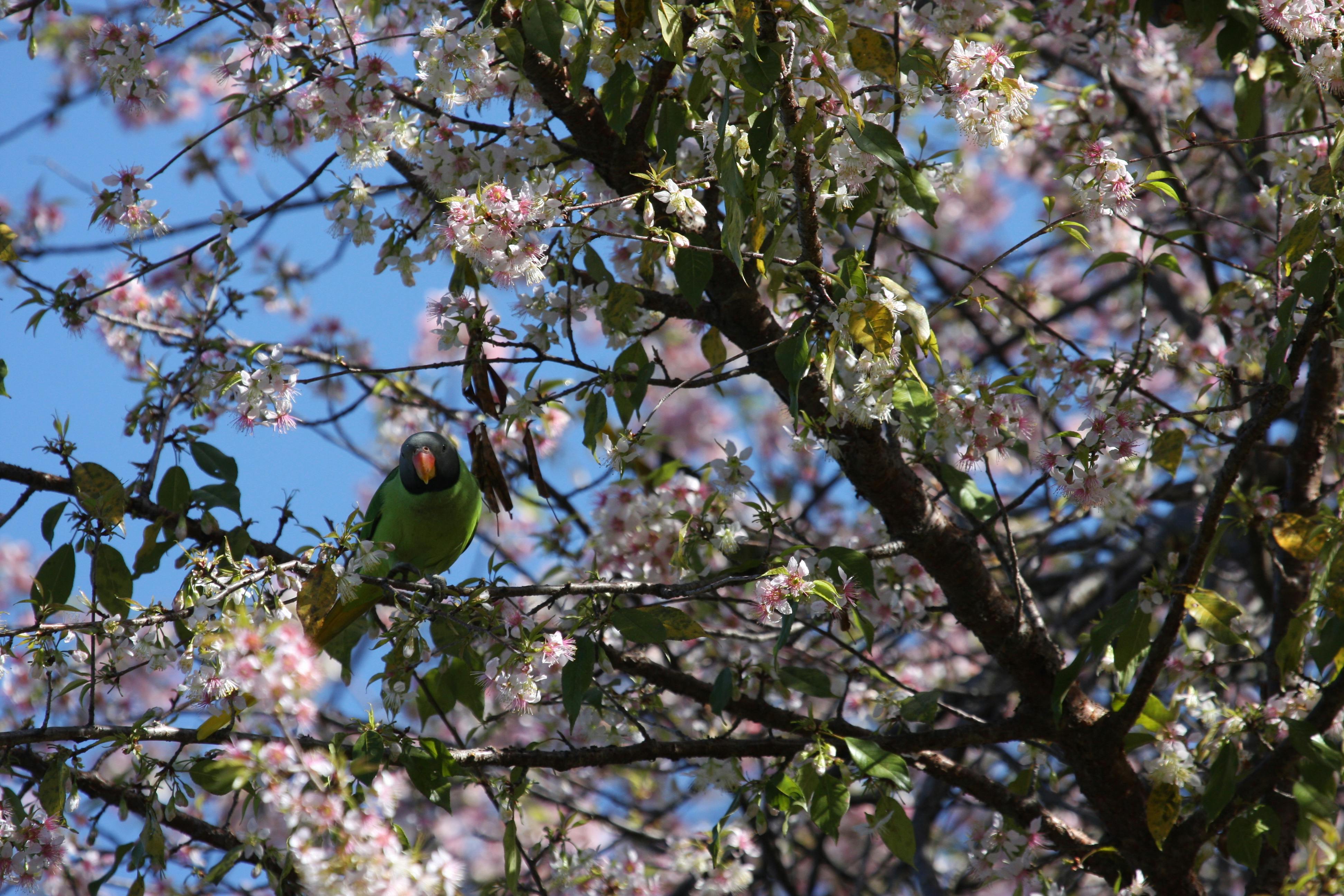 100.000+ Cyber-security-wallpaper-for-laptop Bilder und Fotos ...