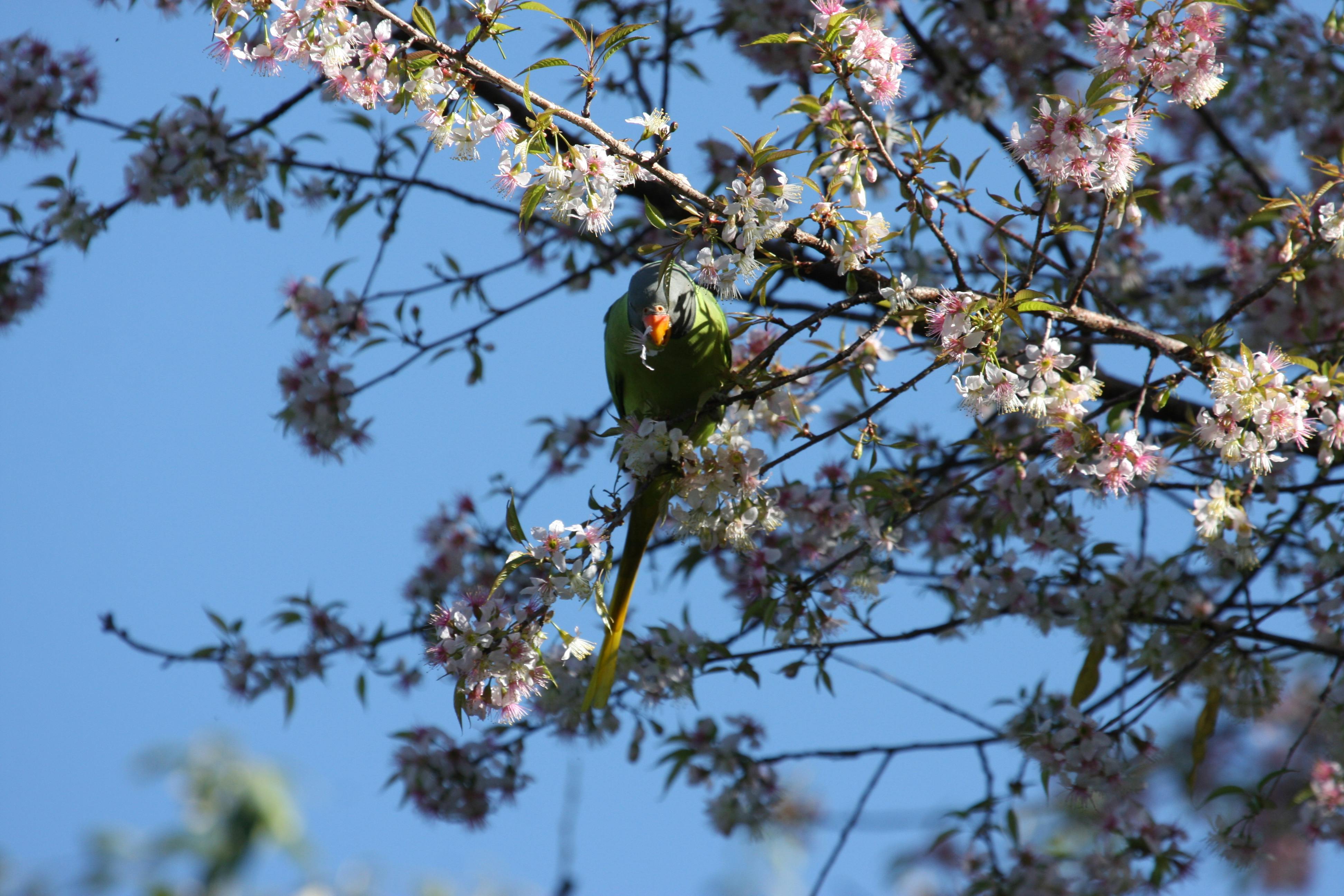 Android+9 12+Bestenliste Photos, Download The BEST Free Android+9 12 ...