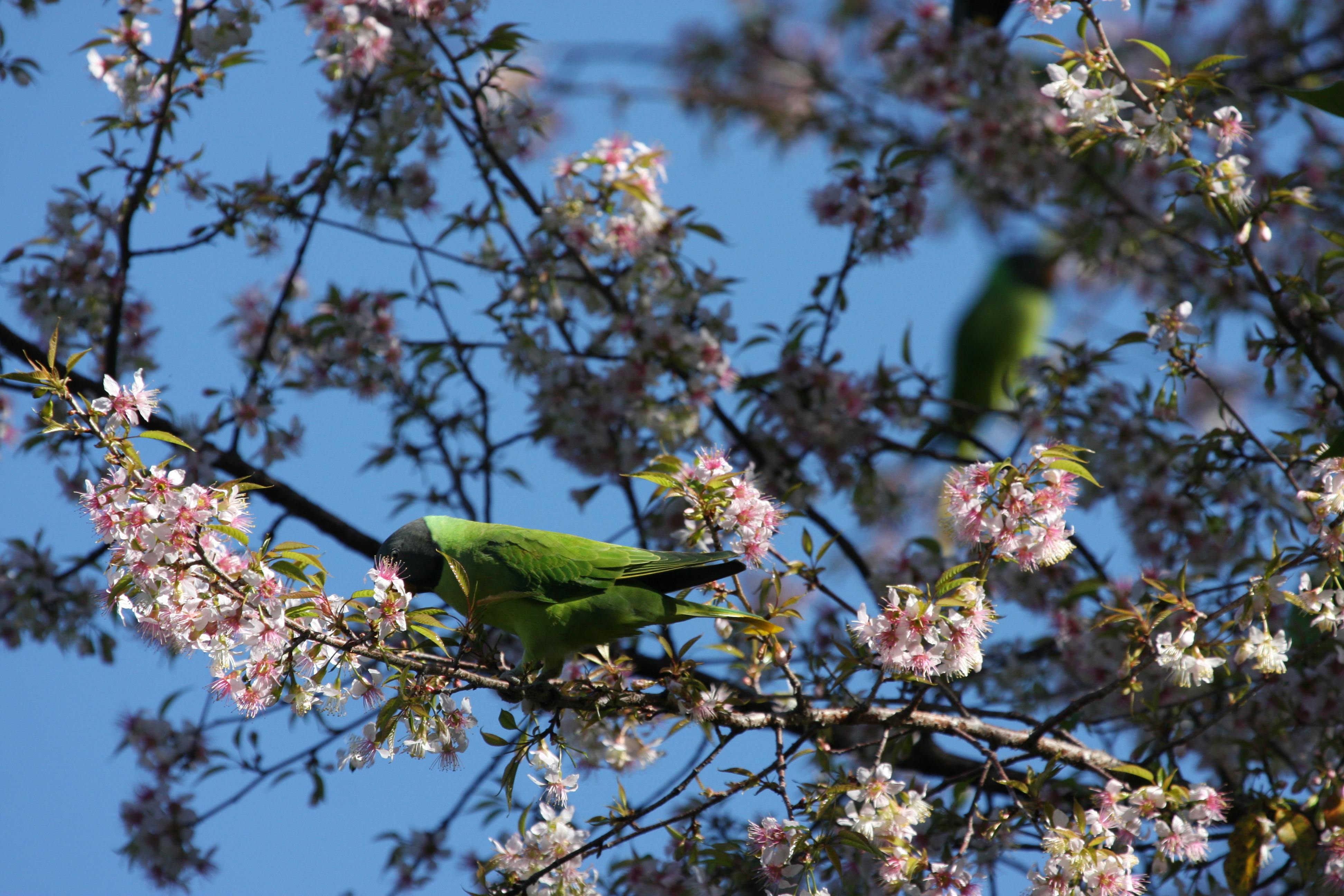 200.000+ Technologic Wallpaper Bilder und Fotos · Kostenlos Downloaden ...