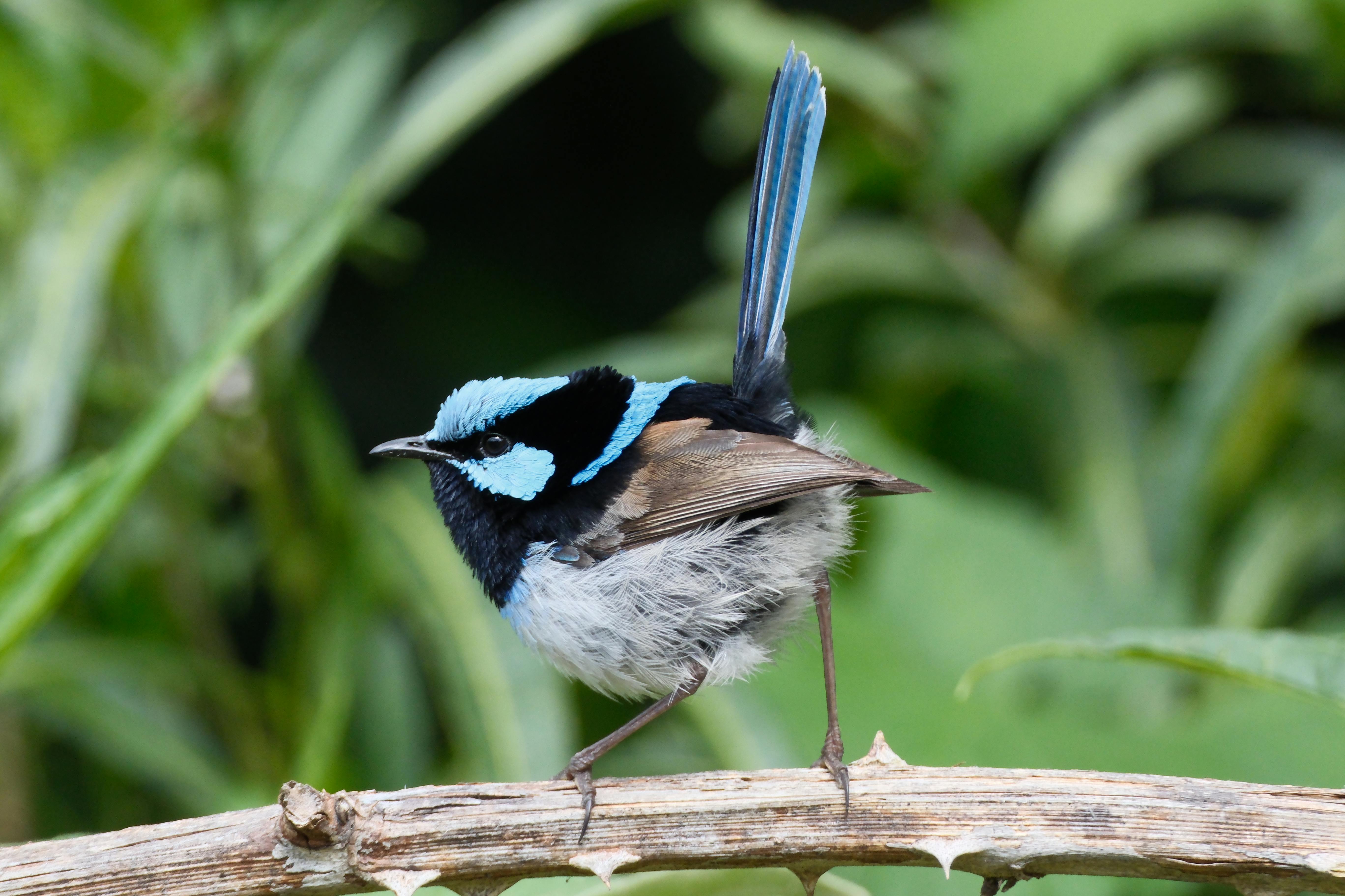 Gun+Park+Wallpaper Photos, Download The BEST Free Gun+Park+Wallpaper ...