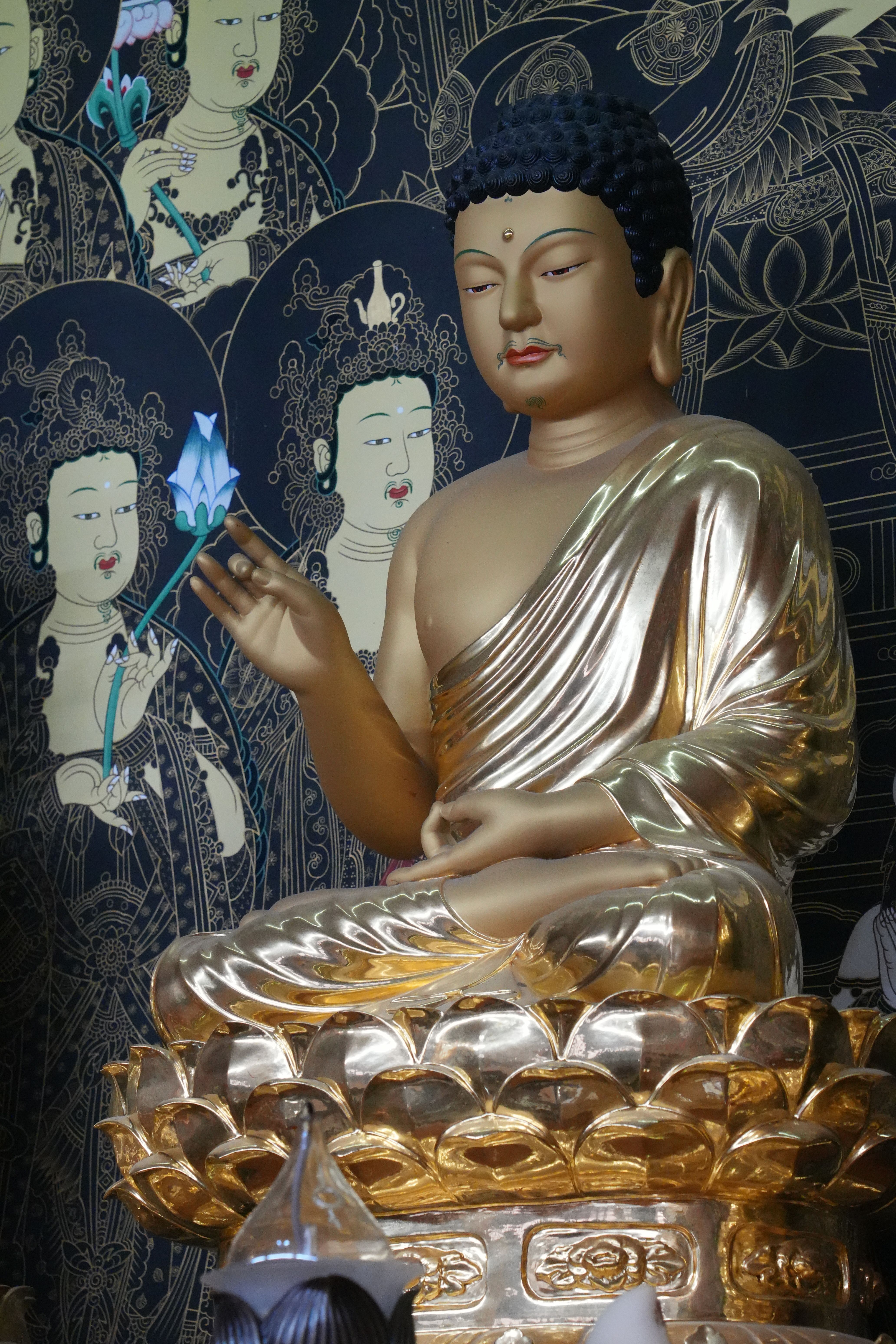 Golden Buddha Statue in Busan Temple · Free Stock Photo