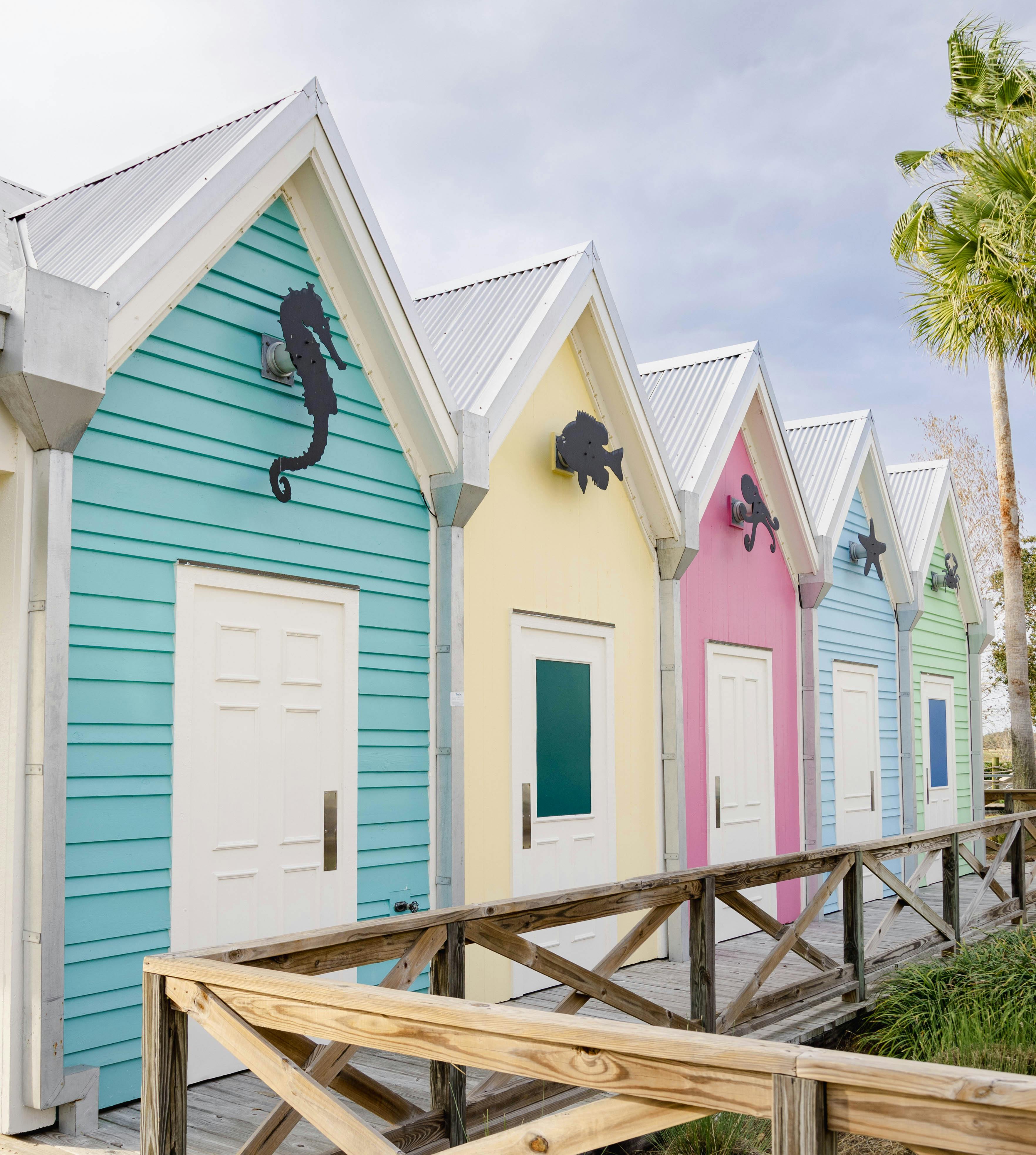 Bluegill Fish Photos, Download The BEST Free Bluegill Fish Stock Photos ...