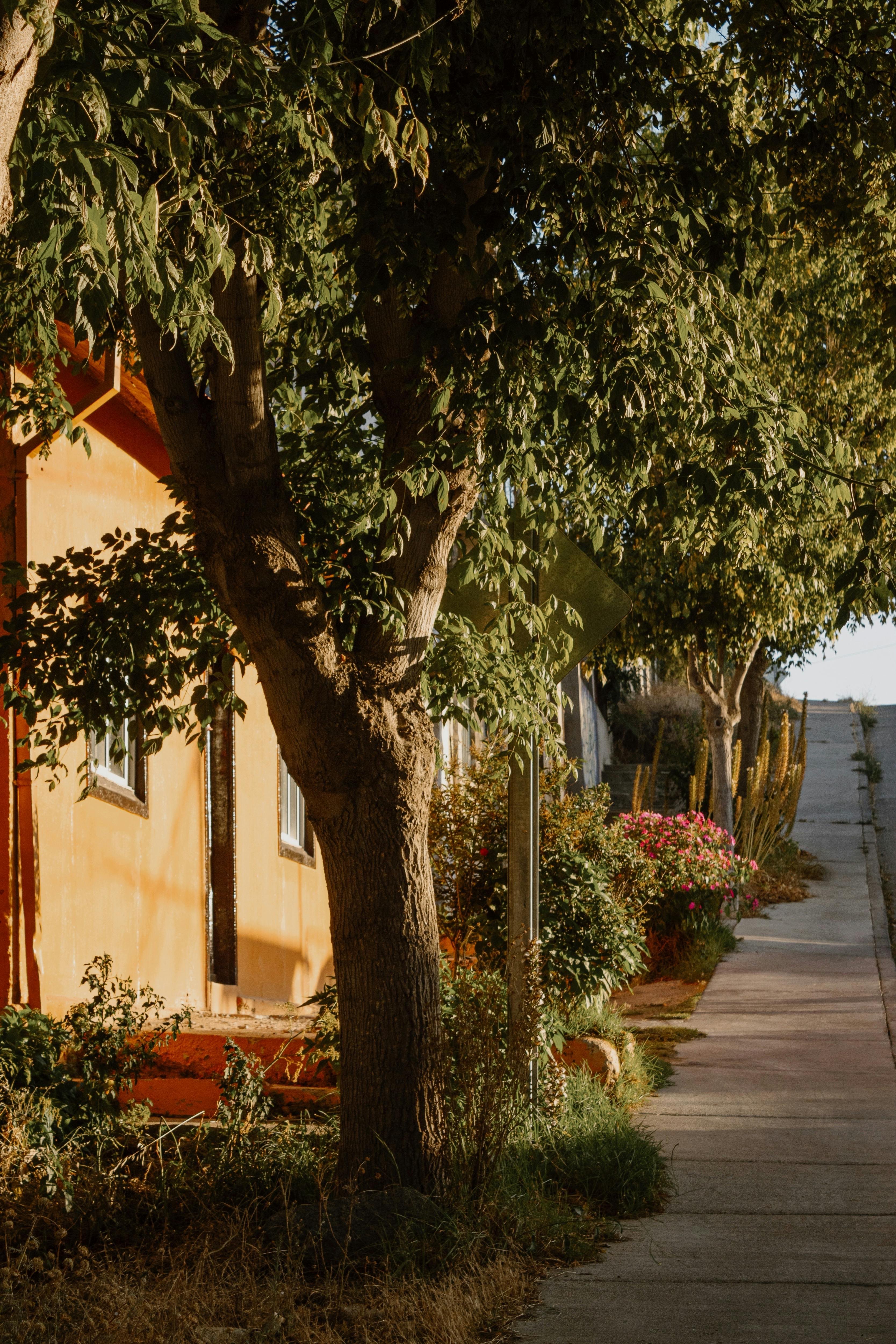 Front+Desk! Photos, Download The BEST Free Front+Desk! Stock Photos ...